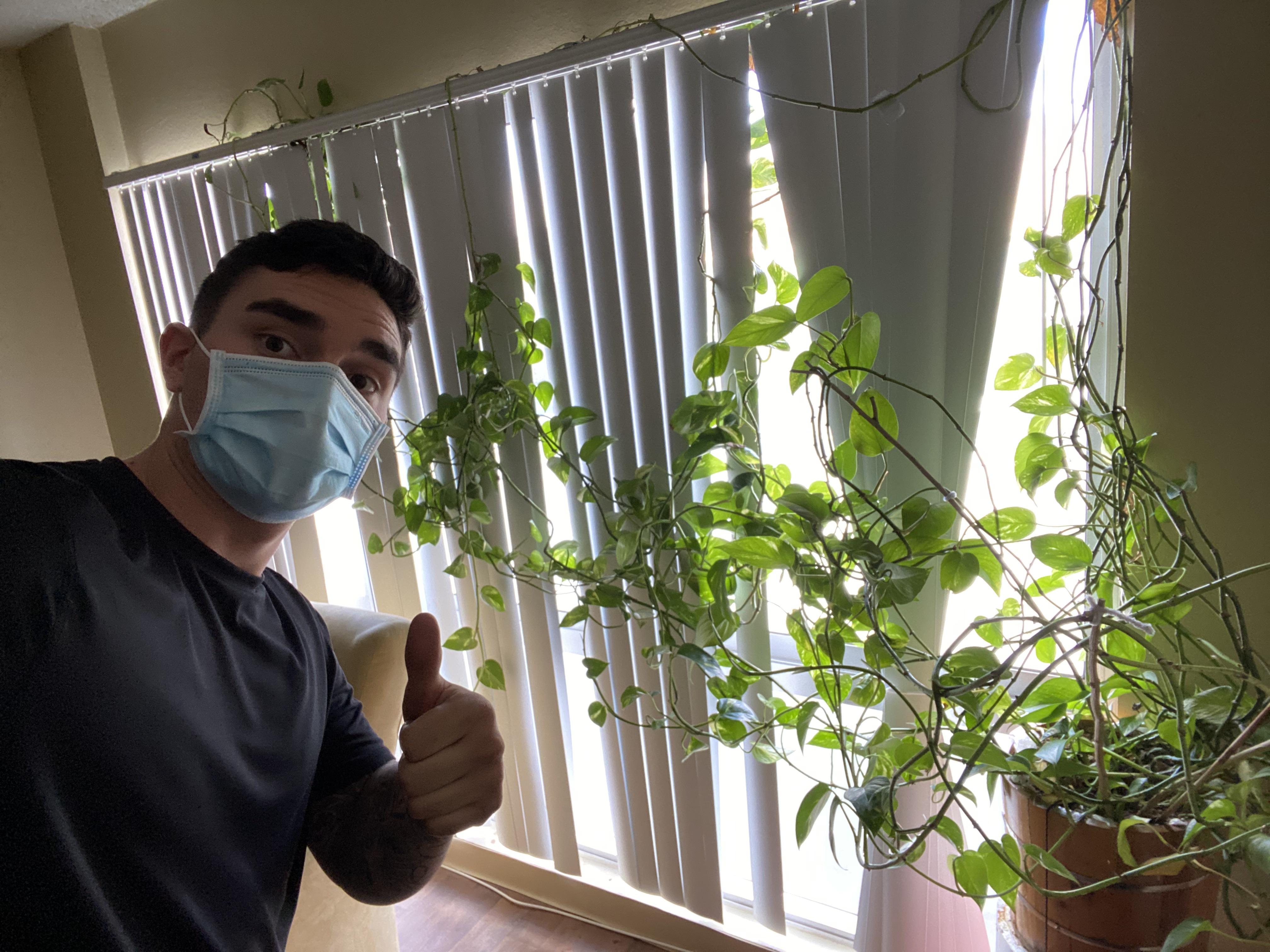 16 year old pothos!!! | Scrolller