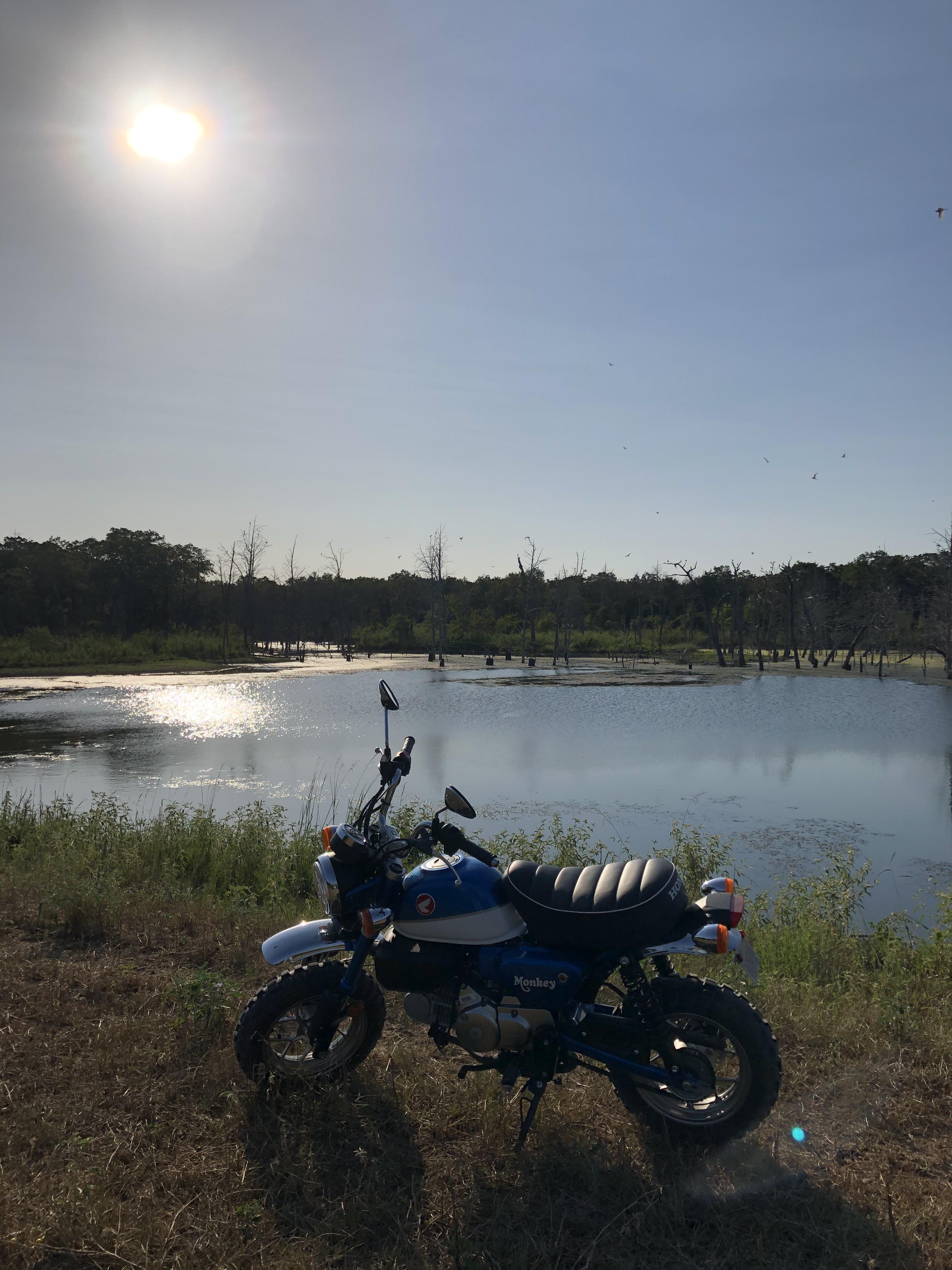 1st off road adventure on the monkey. | Scrolller