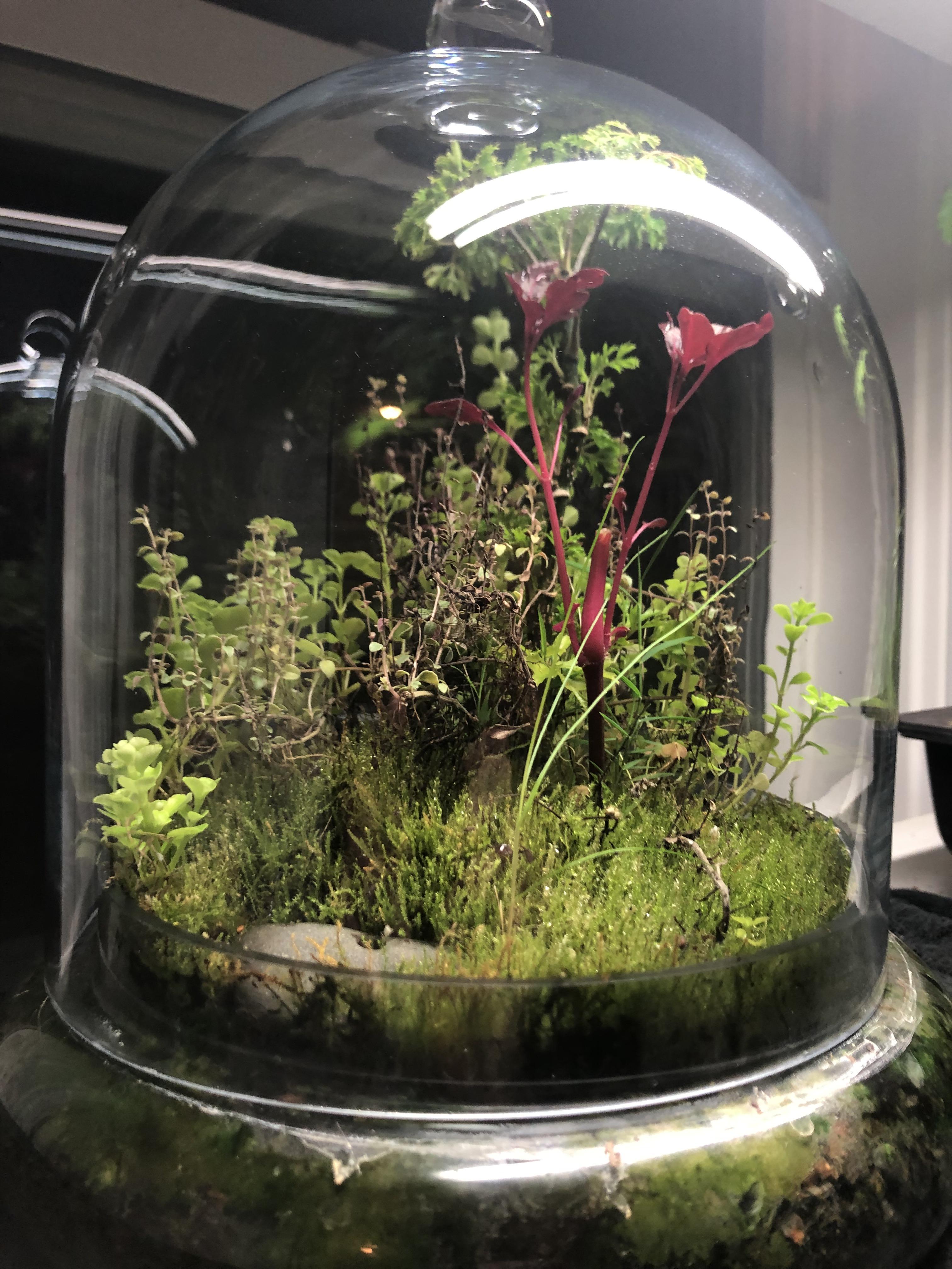 2 Years Later Scrolller