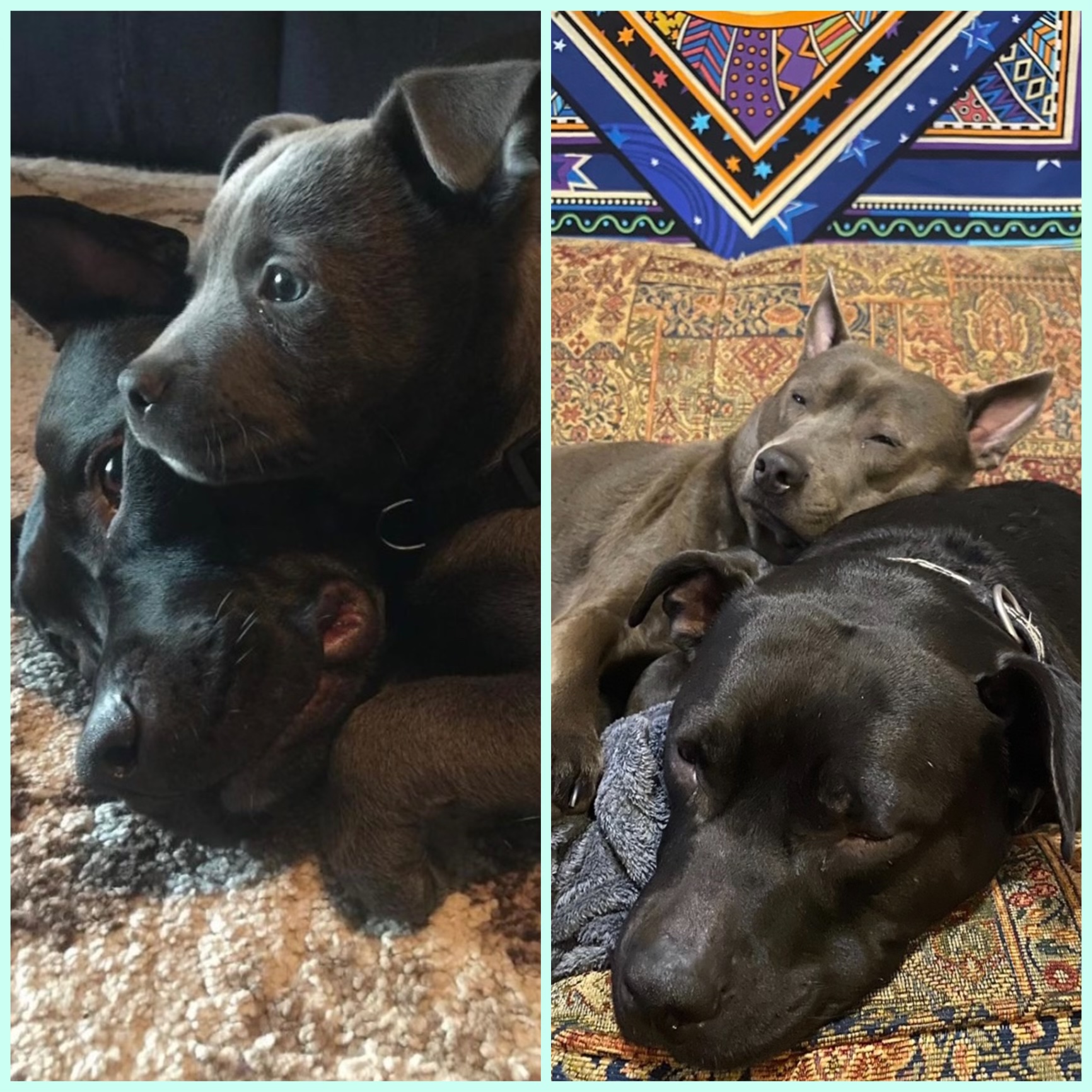 2018-2021 Nothing’s changed! | Scrolller