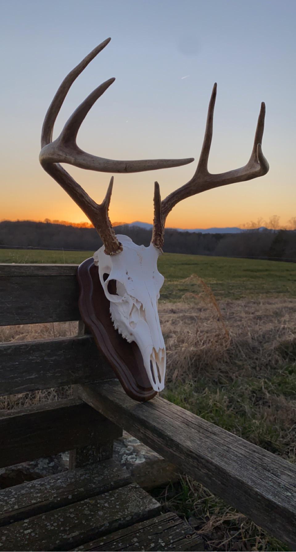 2019 European mount | Scrolller