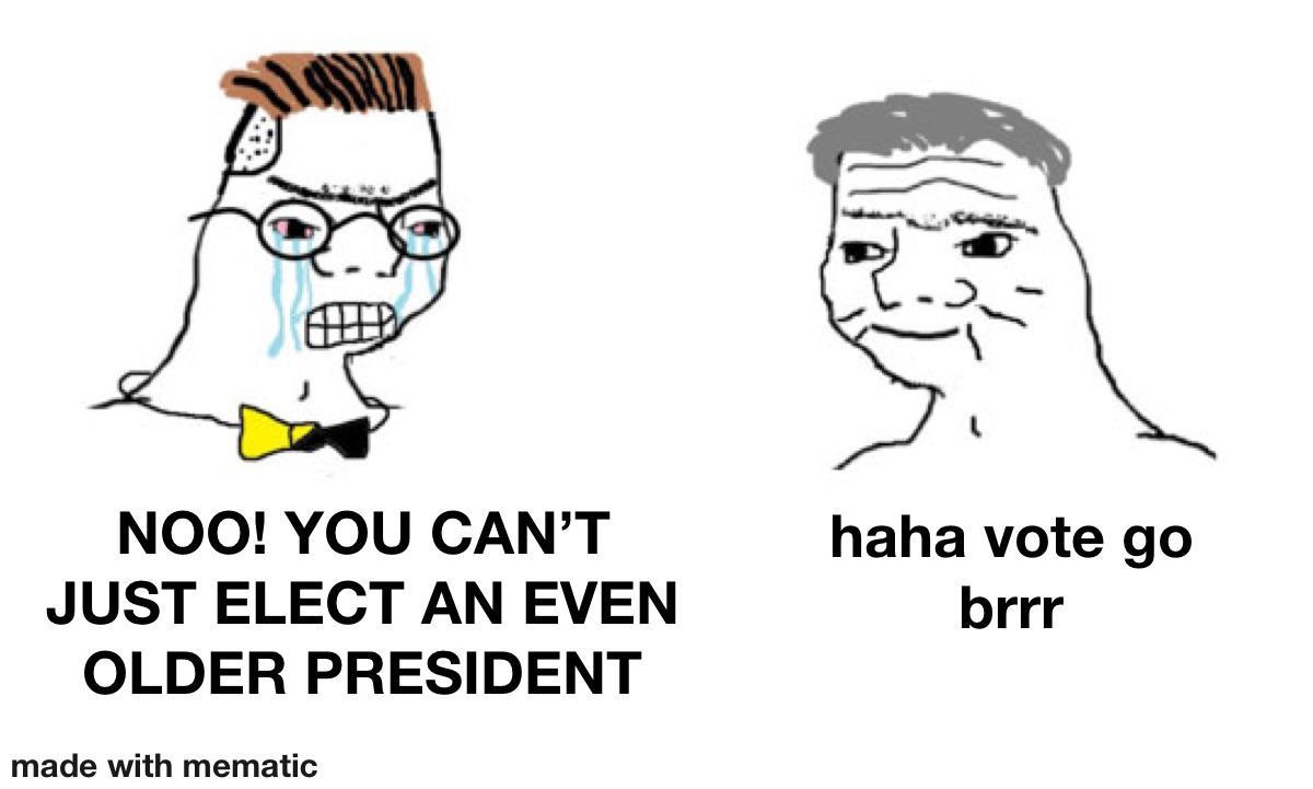 2020 election in a nutshell | Scrolller