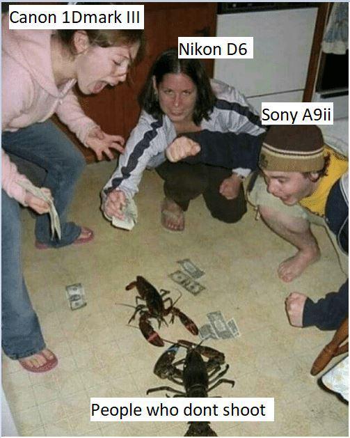 2020 in a nutshell. | Scrolller