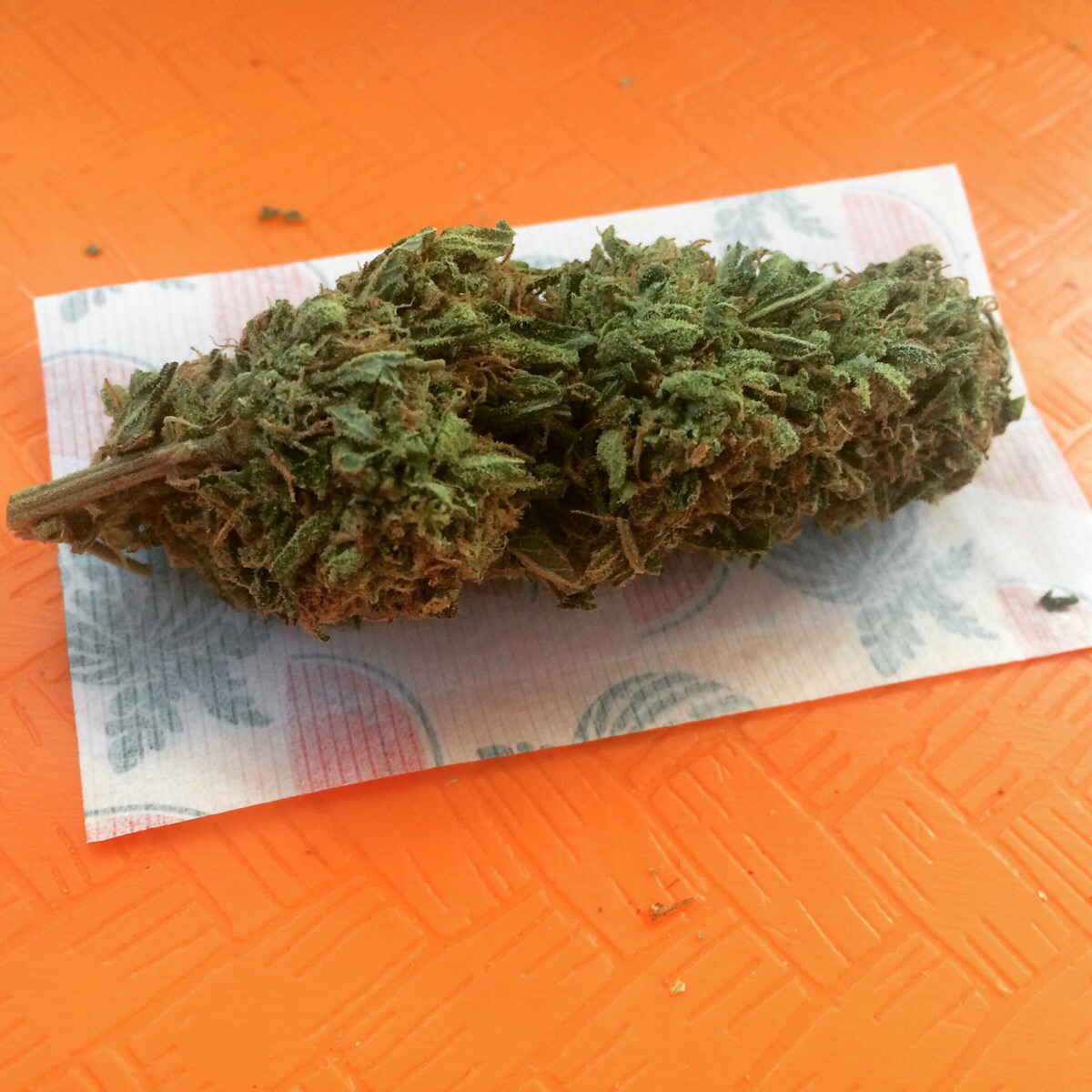 3 Kings properly being rolled | Scrolller