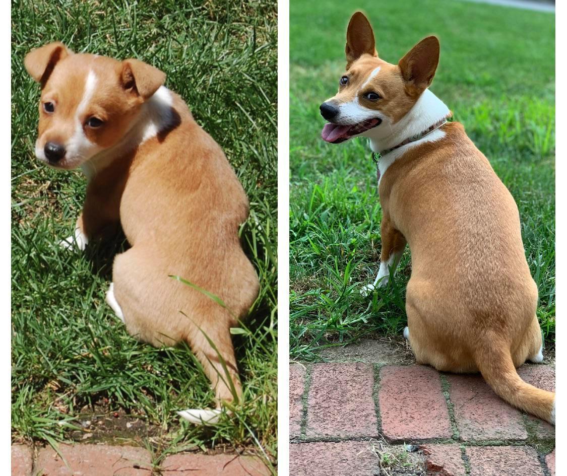 3 years later | Scrolller