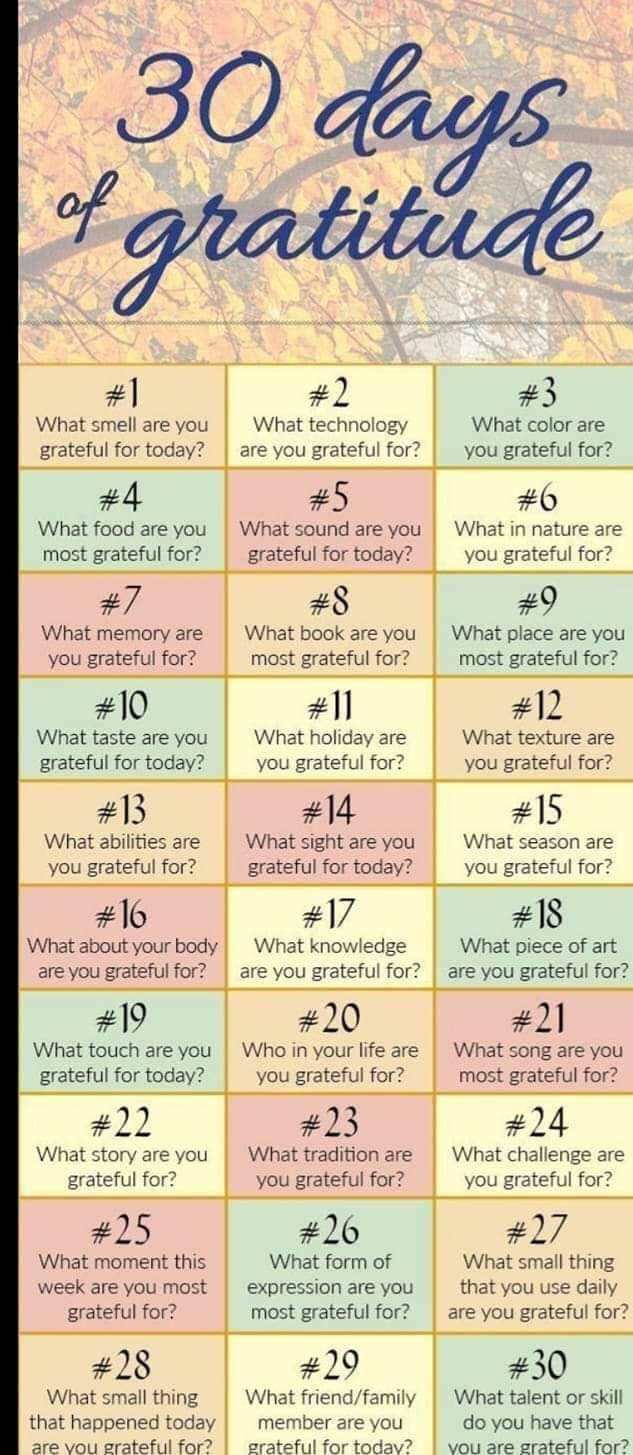 30 Days of Gratitude | Scrolller