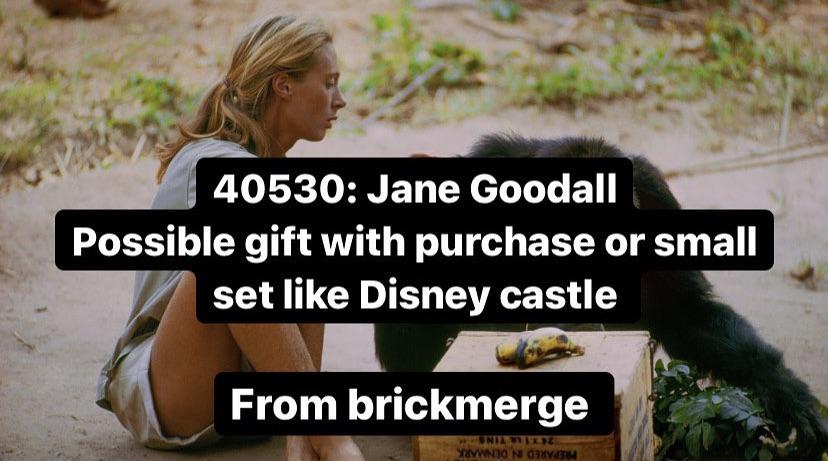 40530 Jane Goodall set coming soon, will be like the Amelia Earhart GWP ...