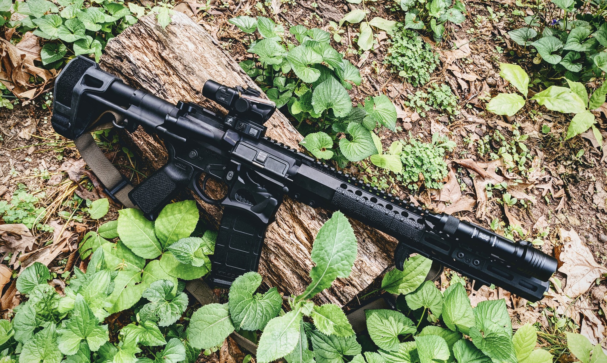 5.56 Sharps Warthog build. So close to being done. | Scrolller