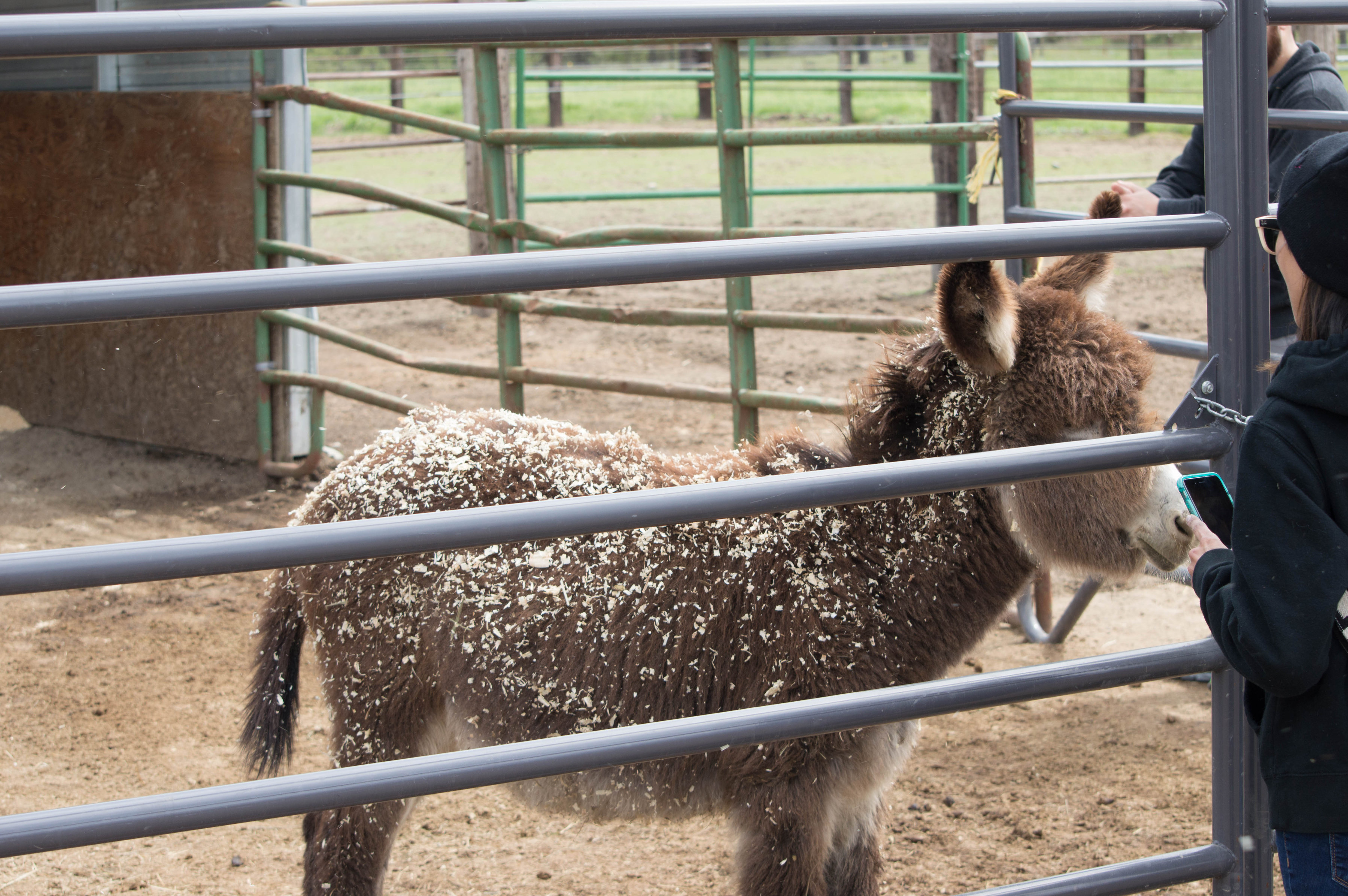 6 Month old Joaquin after a nice roll | Scrolller