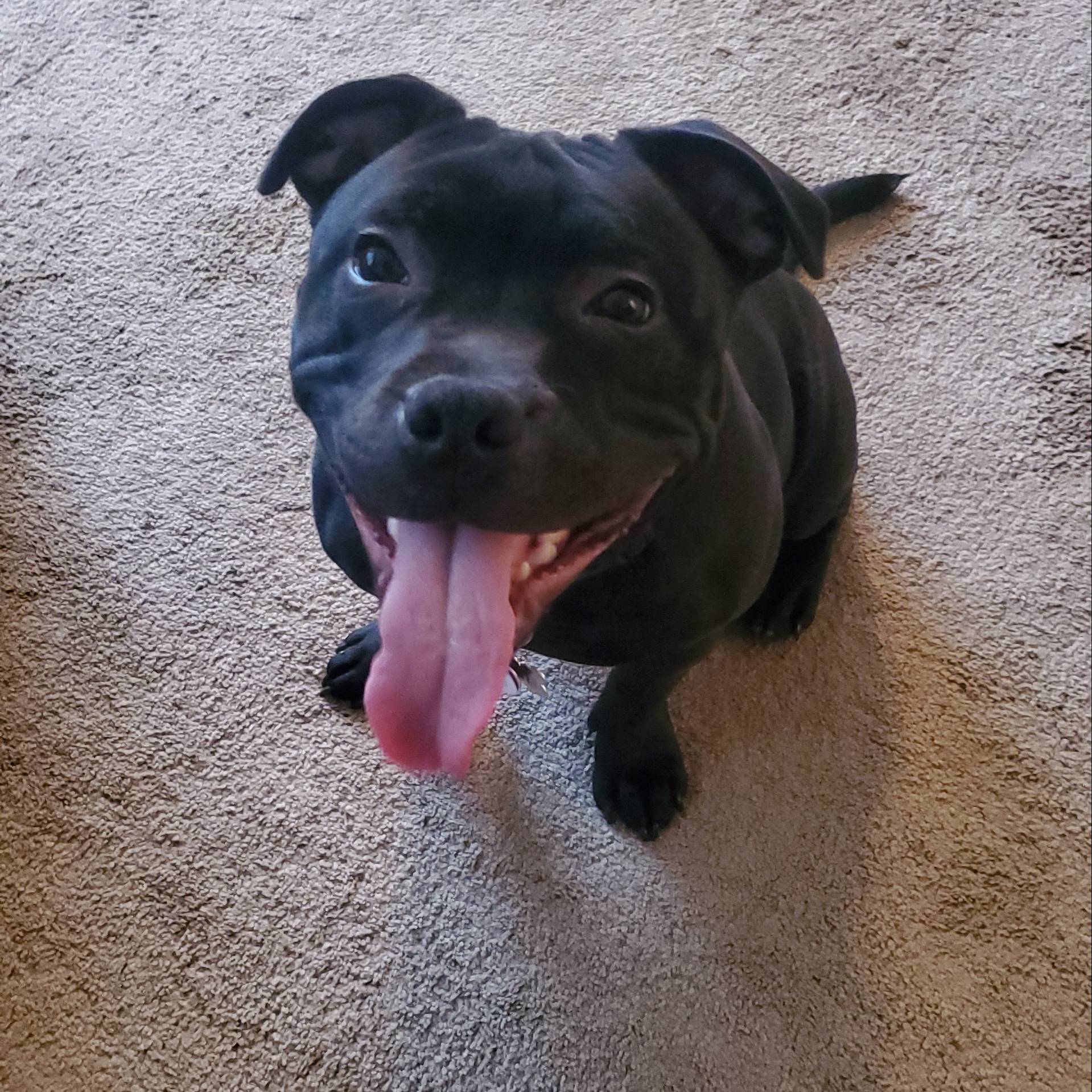 6 months mark. | Scrolller