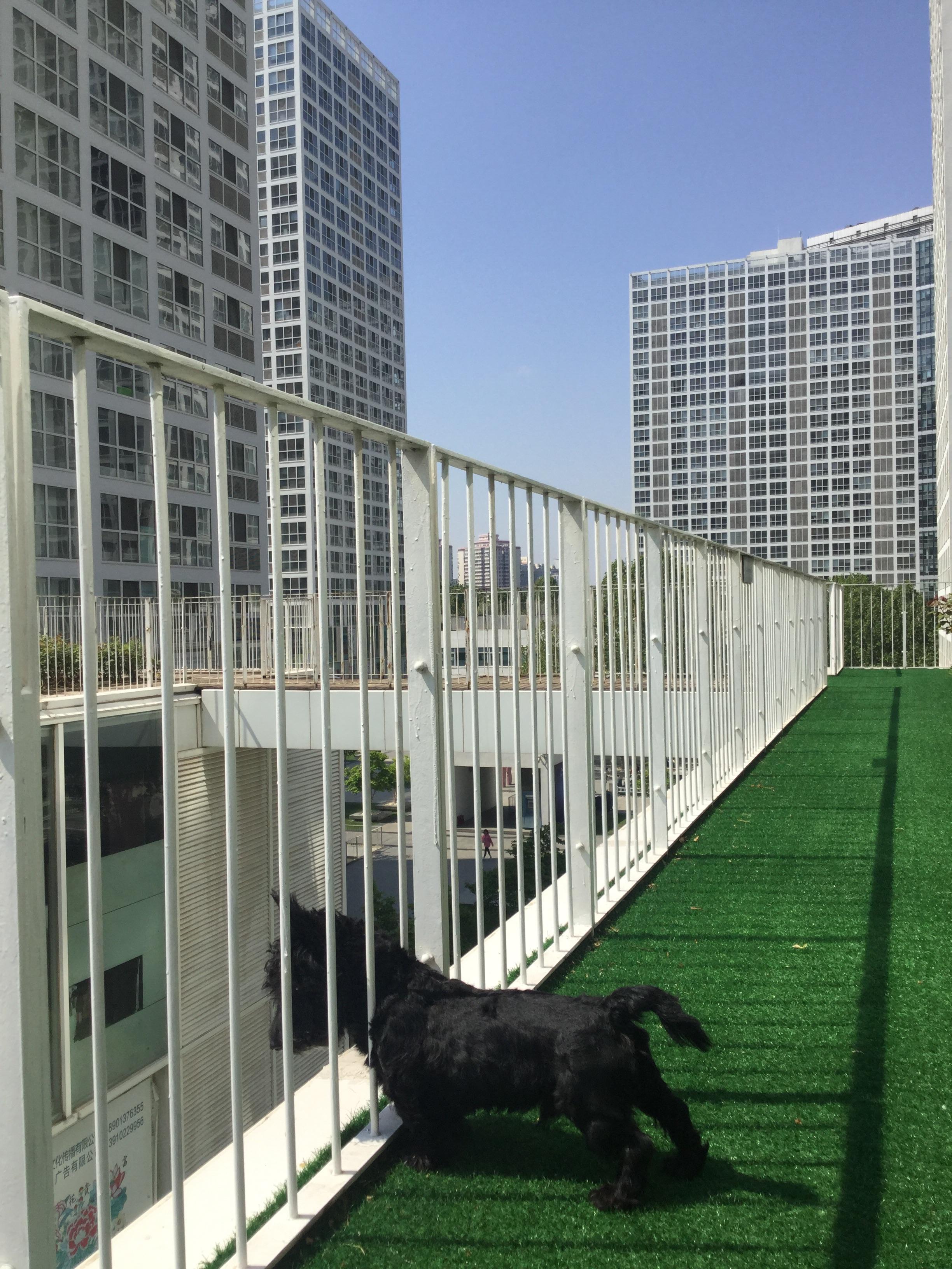 9 months | Scrolller