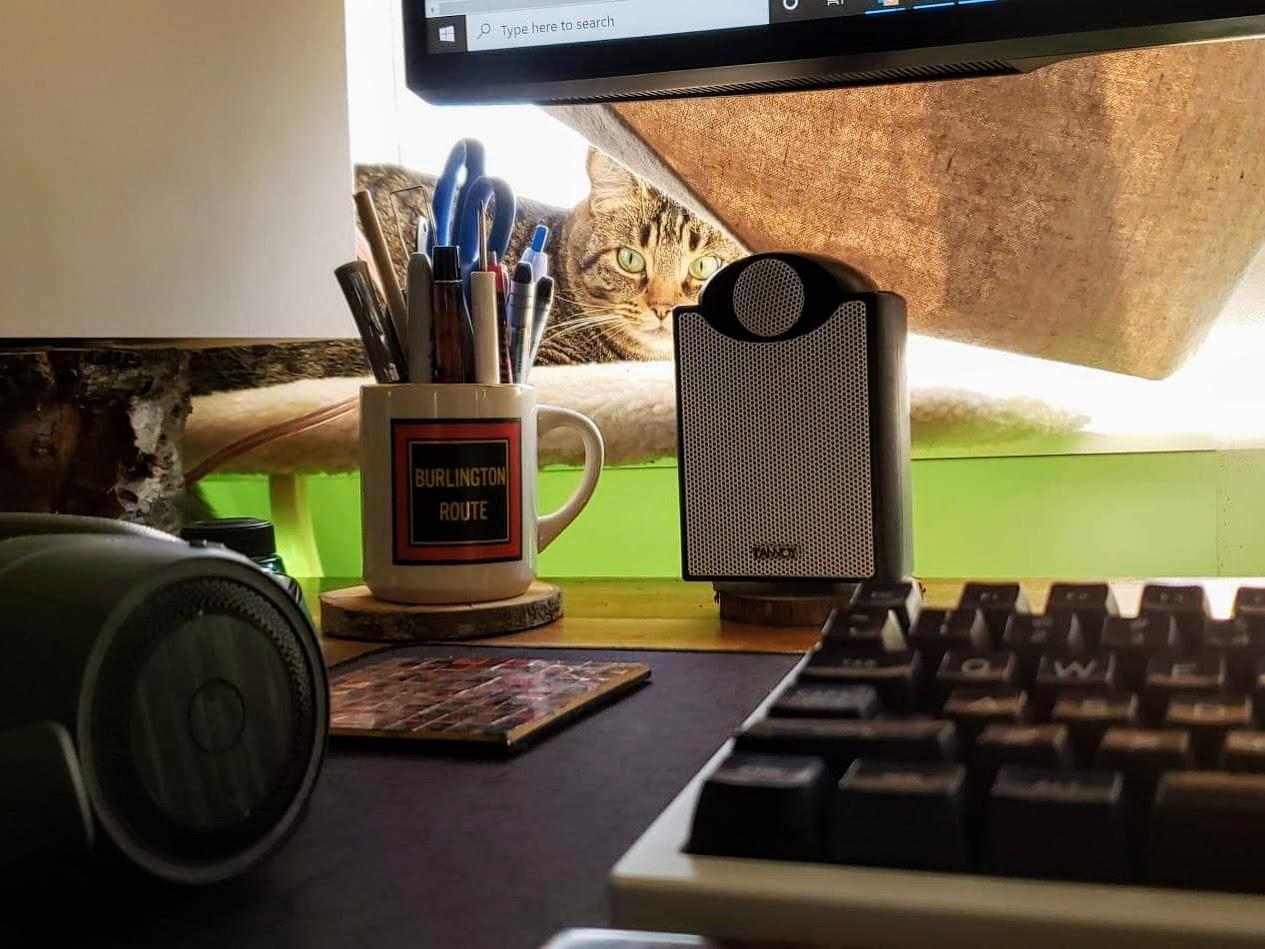 a candid that happened to align everything | Scrolller