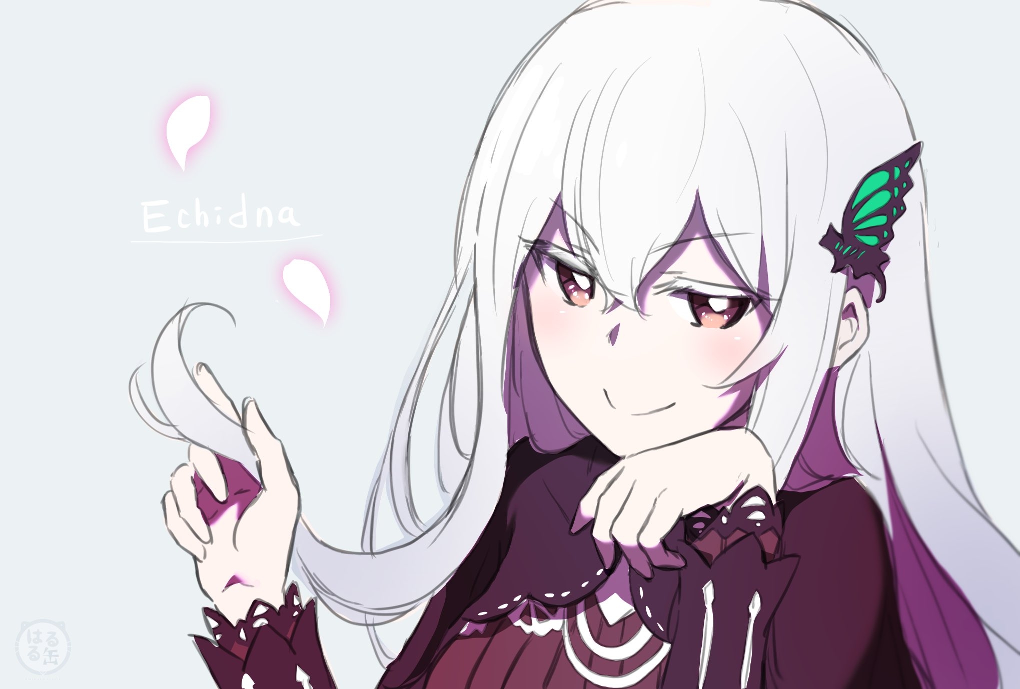 A Cute & Fluttery Echidna | Scrolller