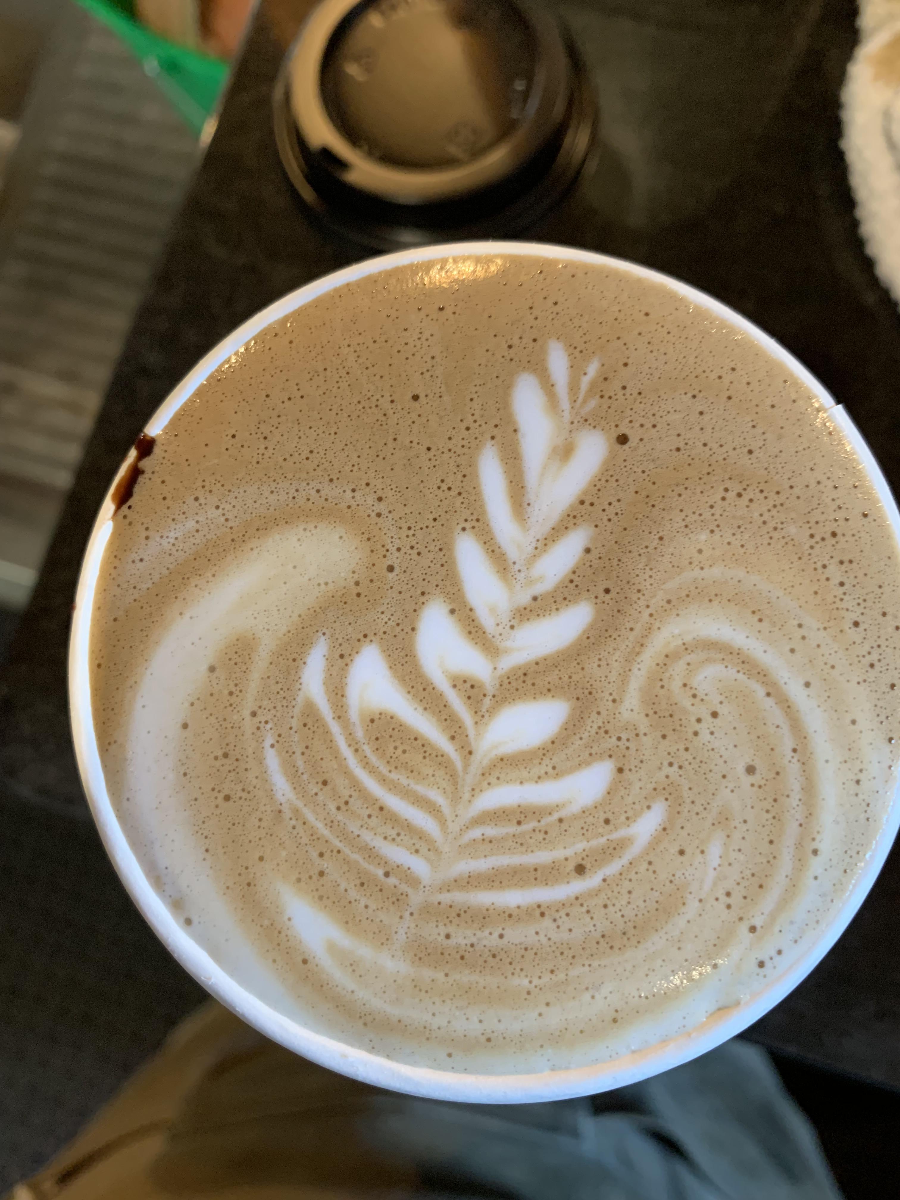 A cute little leaf | Scrolller