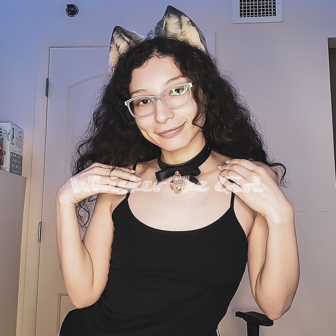 Happy Friday! This pup is about to stream some vidya games! What are you currently playing ...