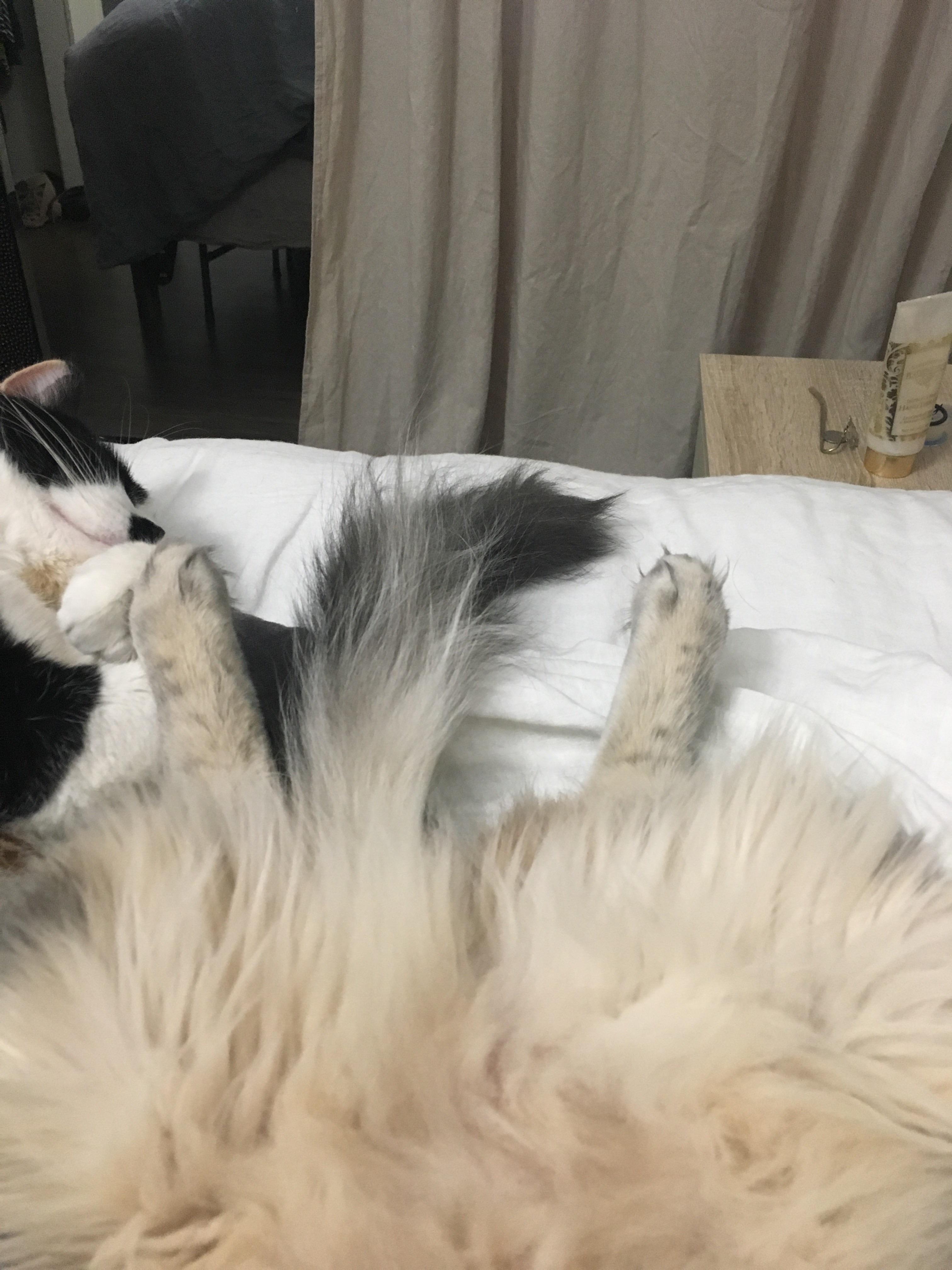 A different angle on the feetsies | Scrolller