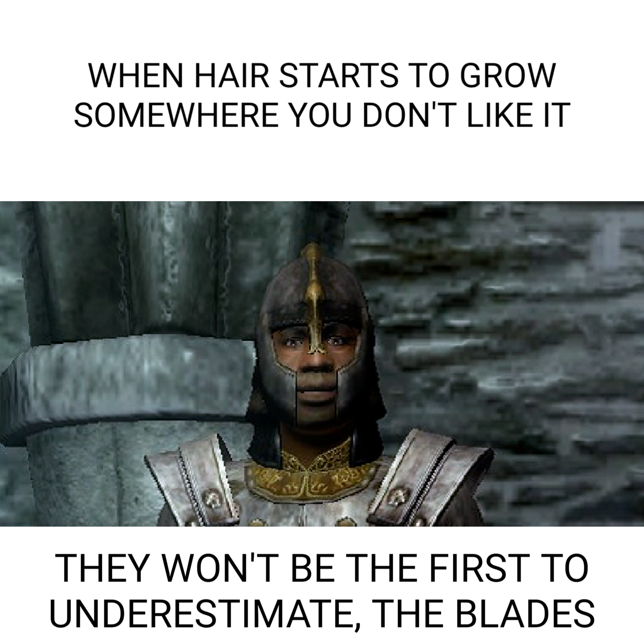 A dumb meme for you all | Scrolller