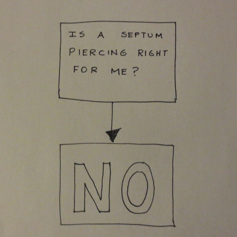 A flowchart to help with an important decision. | Scrolller