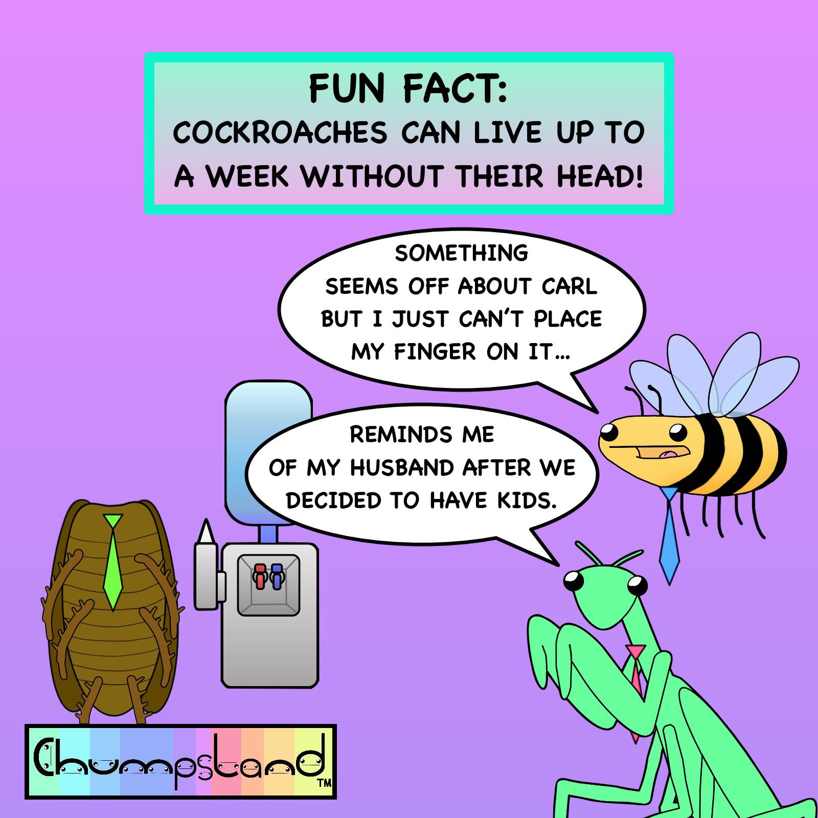 A Fun Fact About Cockroaches [OC] | Scrolller