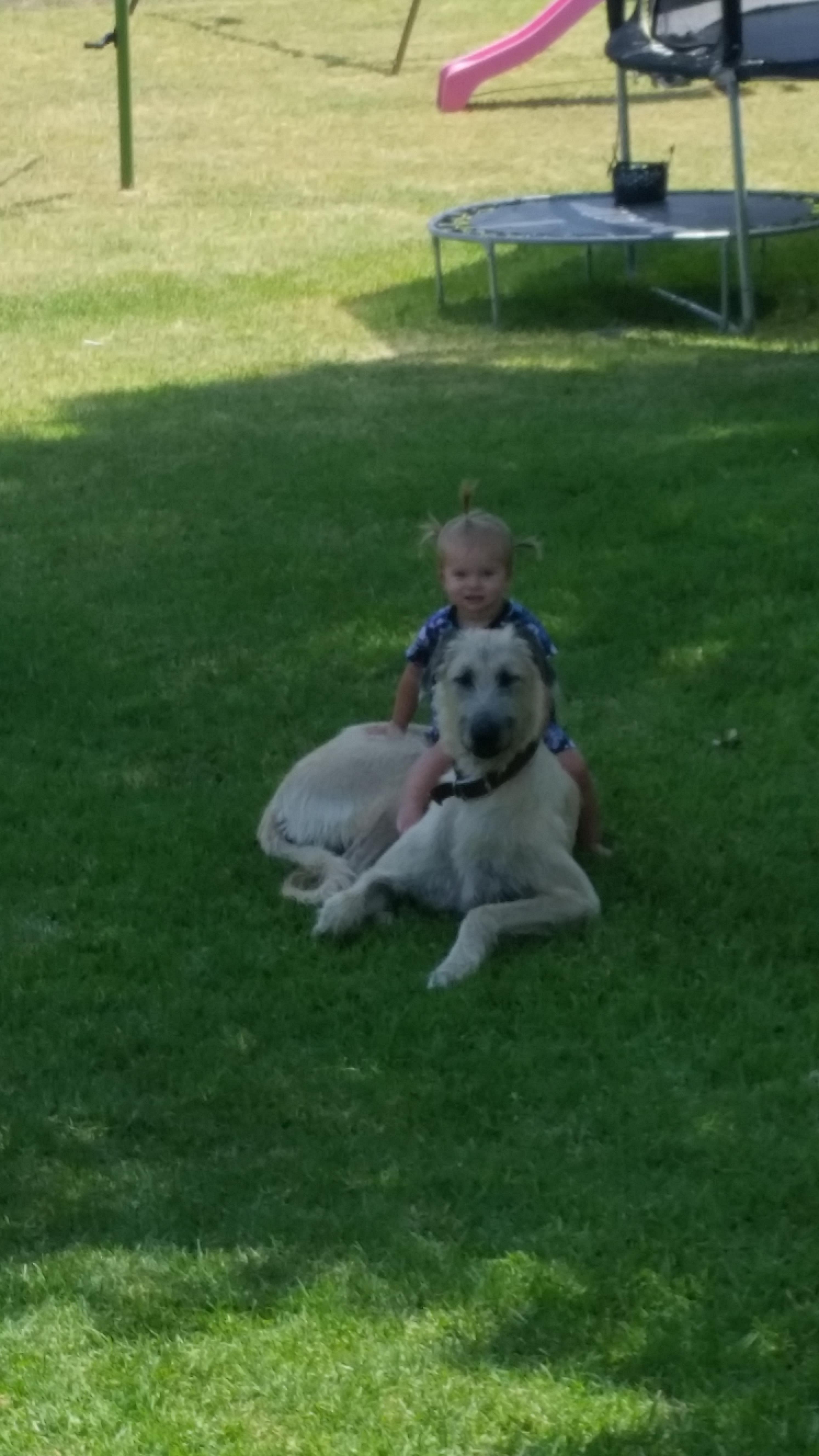 A girl and her hound | Scrolller