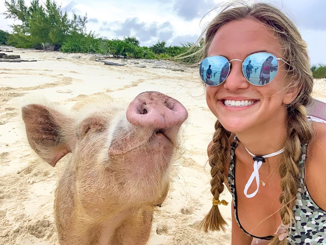 A Girl And Her Pig On The Beach | Scrolller