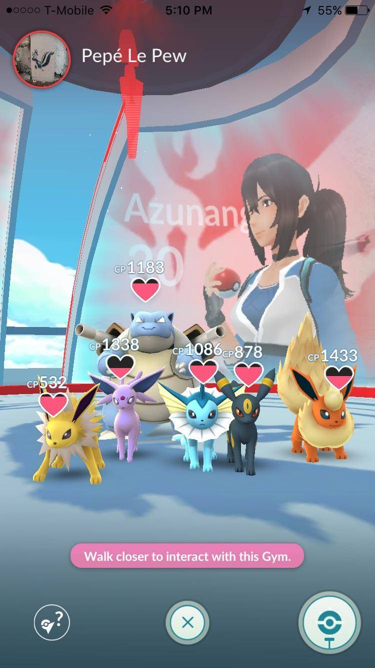 A gym with the 5 evolutions of Evee...and a Blastoise...😋 | Scrolller