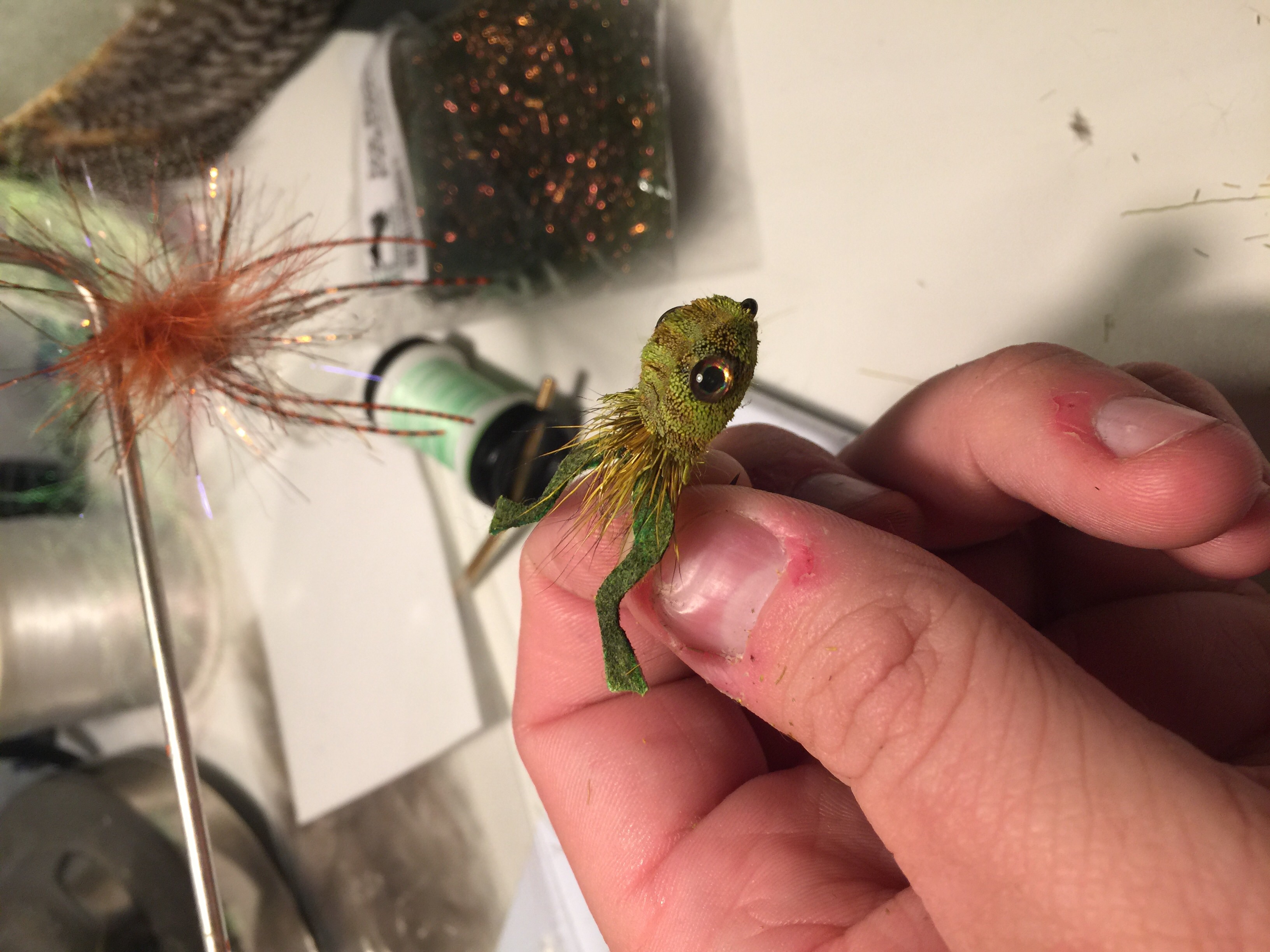 A little frog, hopefully for big fish | Scrolller