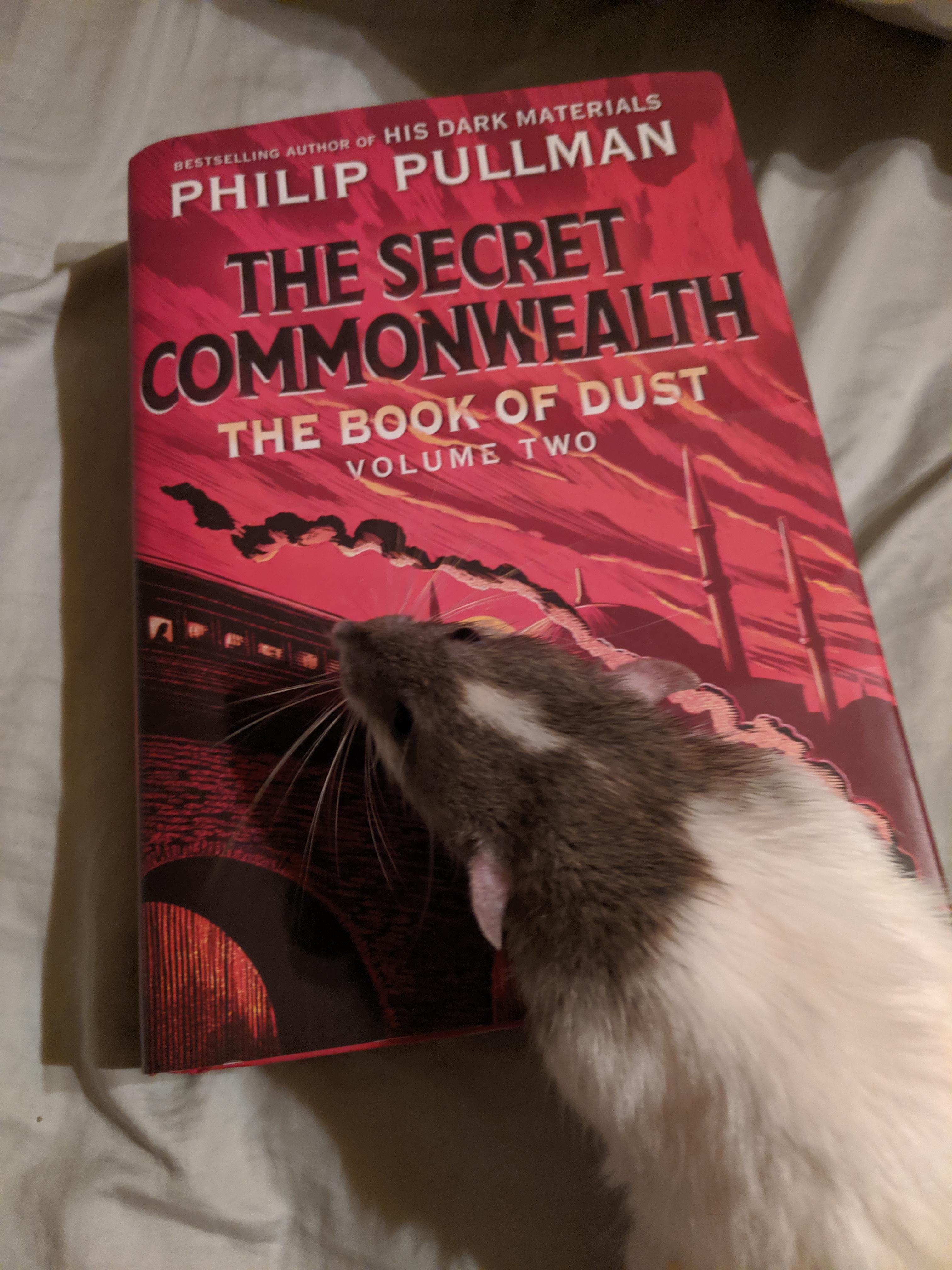 A little late, but here's my daemon! | Scrolller