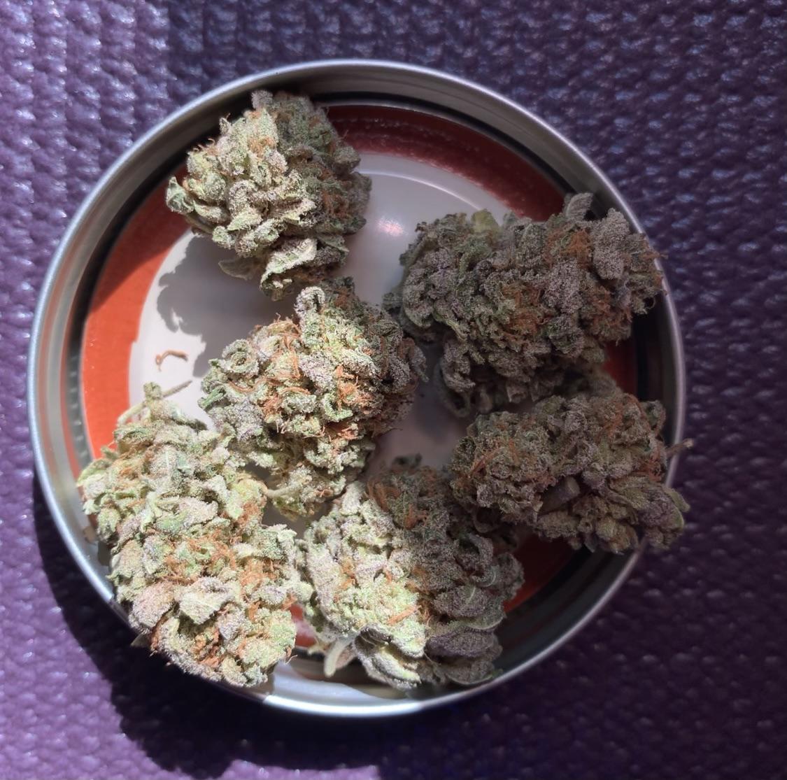 A little nug appreciation ☺️ | Scrolller