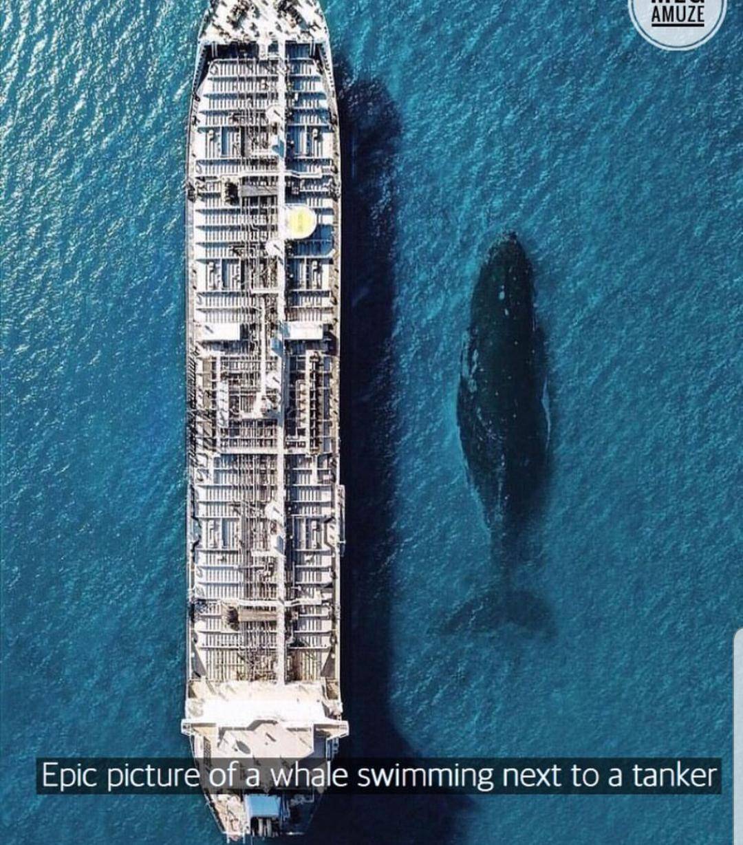 A Little perspective | Scrolller