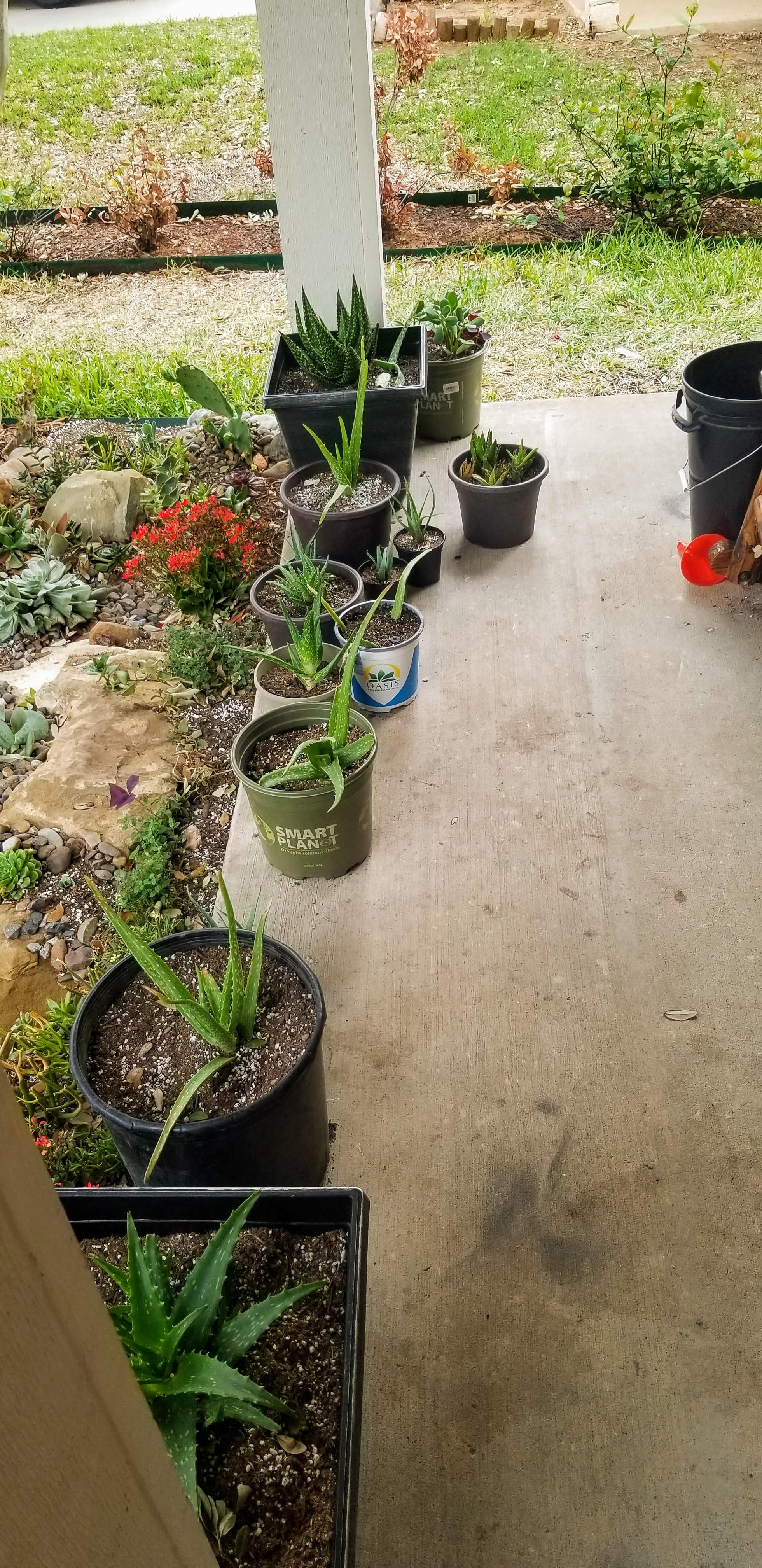 A little propagation | Scrolller