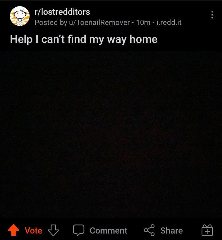 A lost redditor | Scrolller