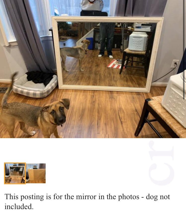 A necessary clarification! | Scrolller