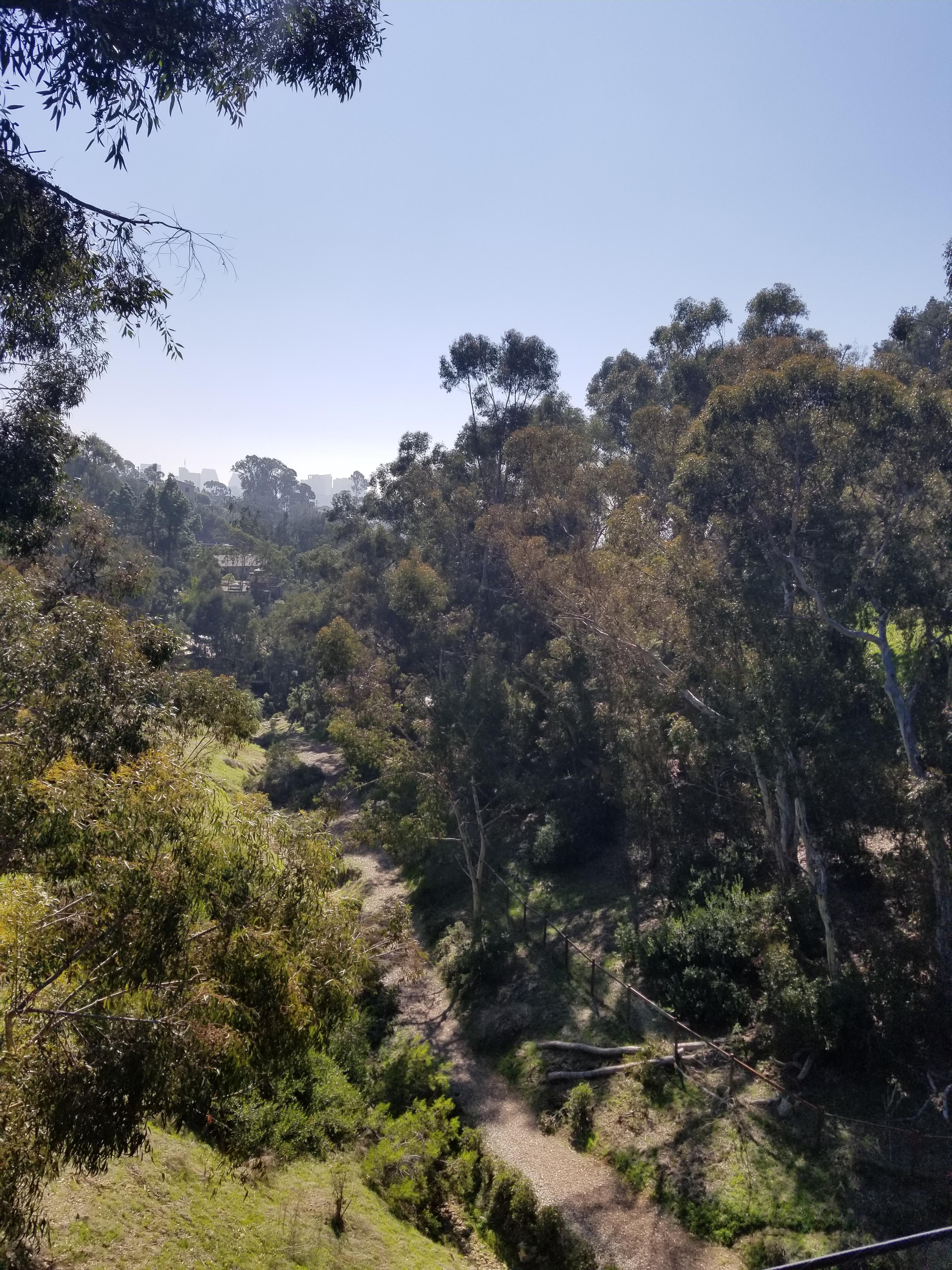 A nice view from a suspension bridge | Scrolller