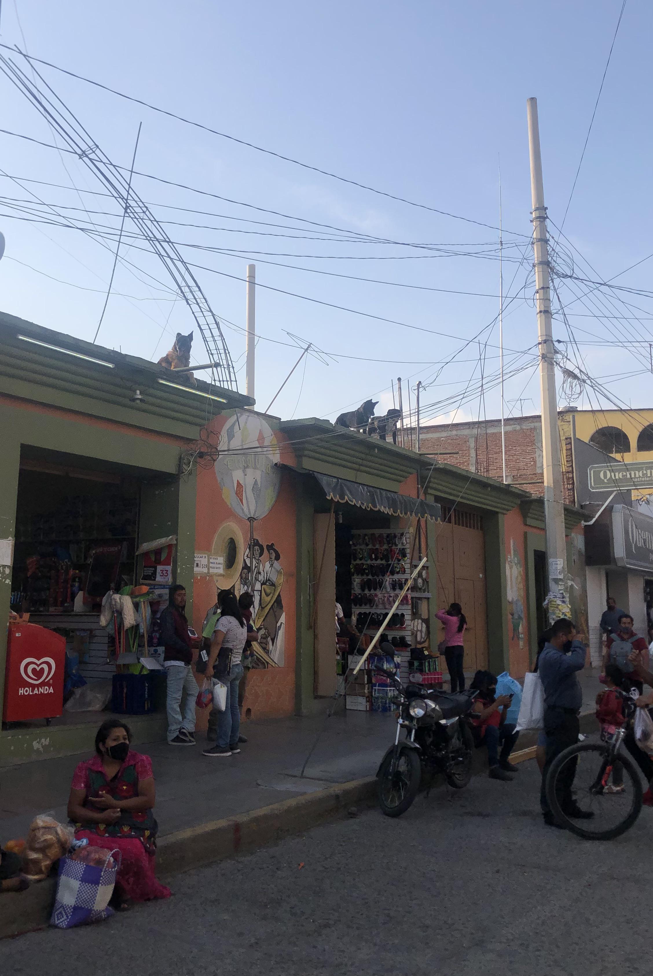 A normal day in Oaxaca | Scrolller