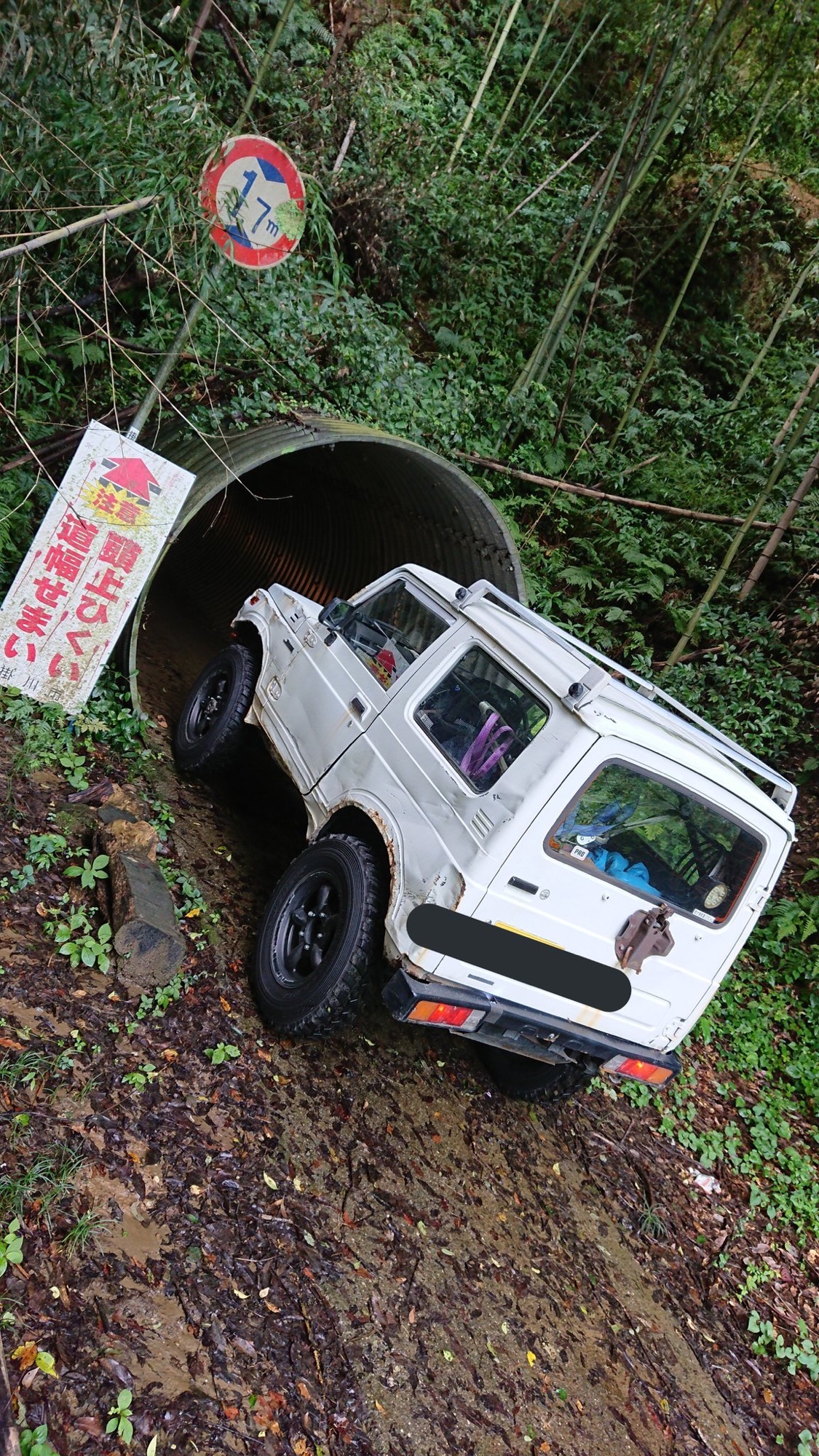 A perfect fit | Scrolller