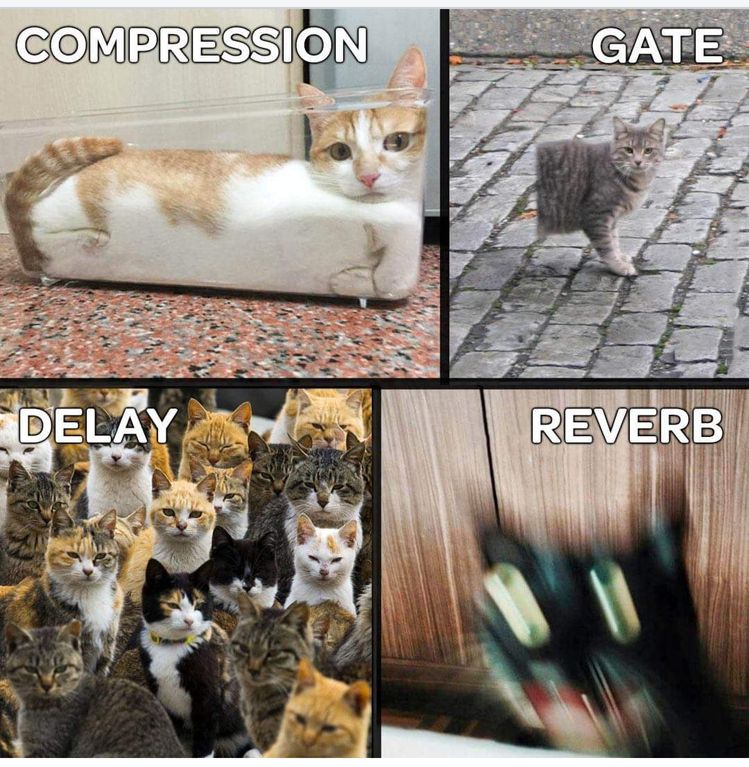 a quick explanation | Scrolller