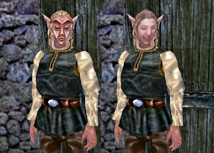 Aşırı eforsuz Morrowind NPC'si İro | Scrolller