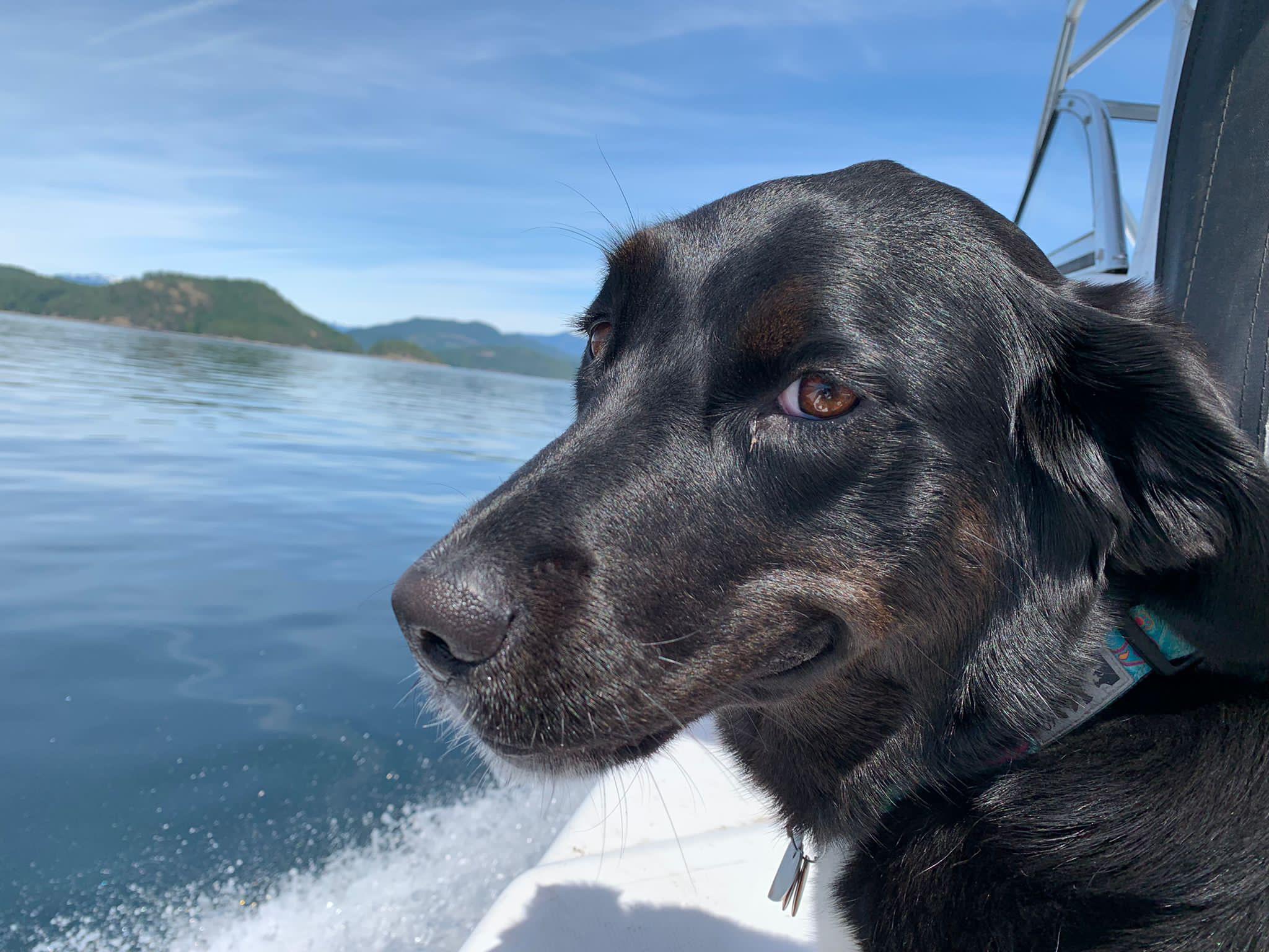 A Rare Smile On The Boat From Piper Scrolller