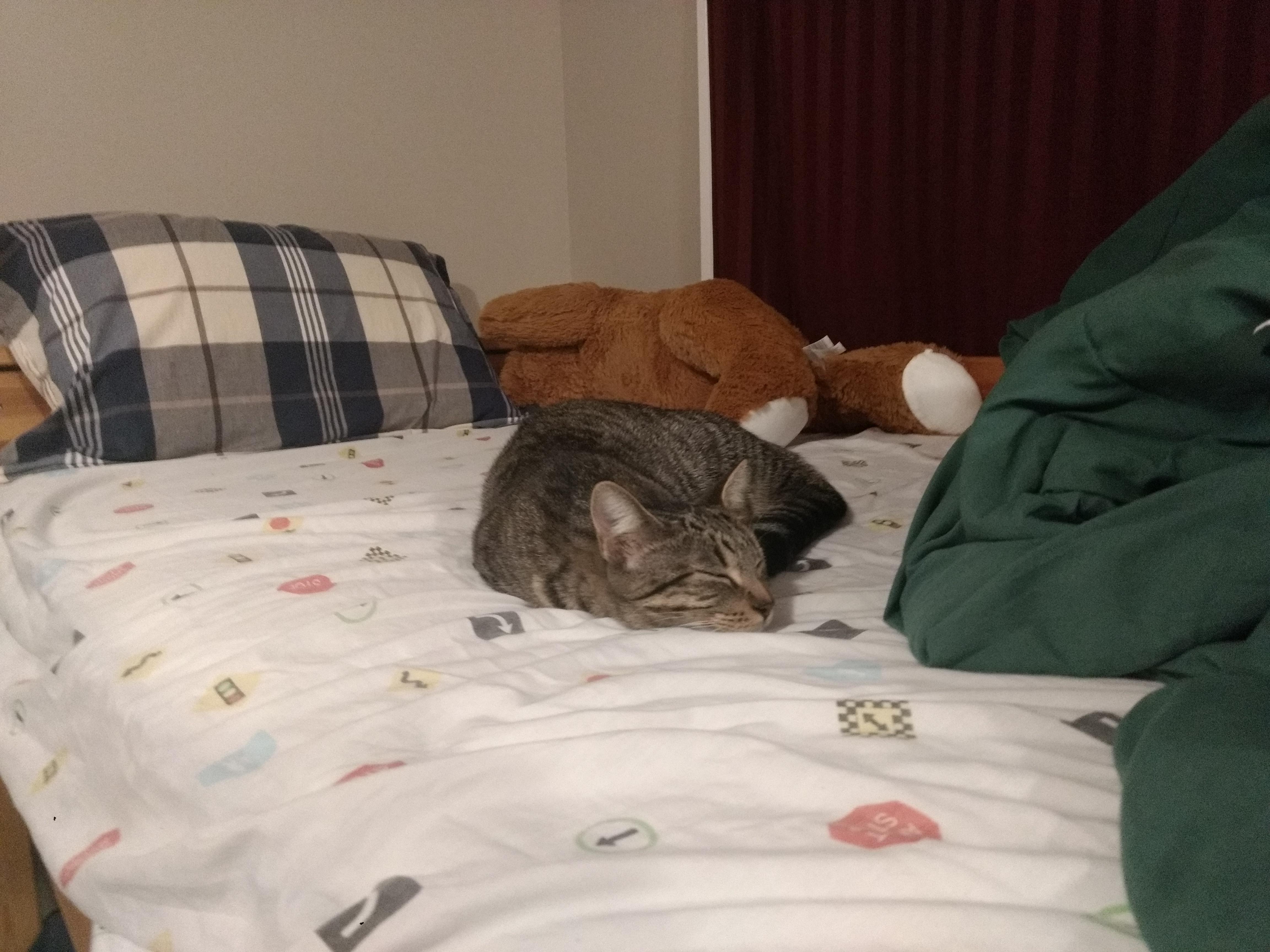 A sleepy floof snek. | Scrolller