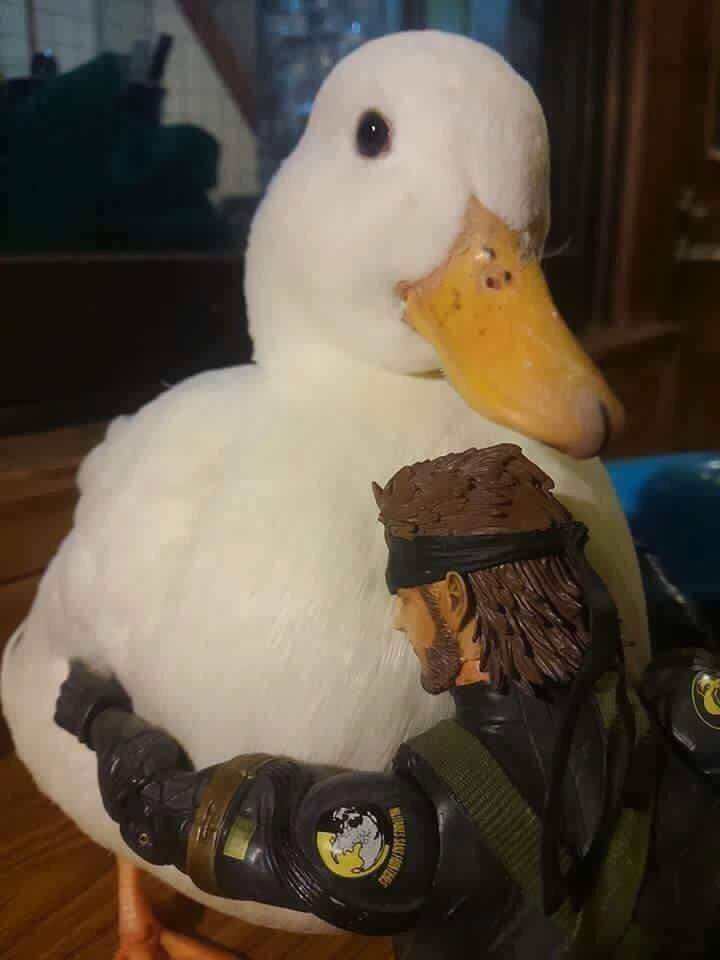 A solid hug | Scrolller