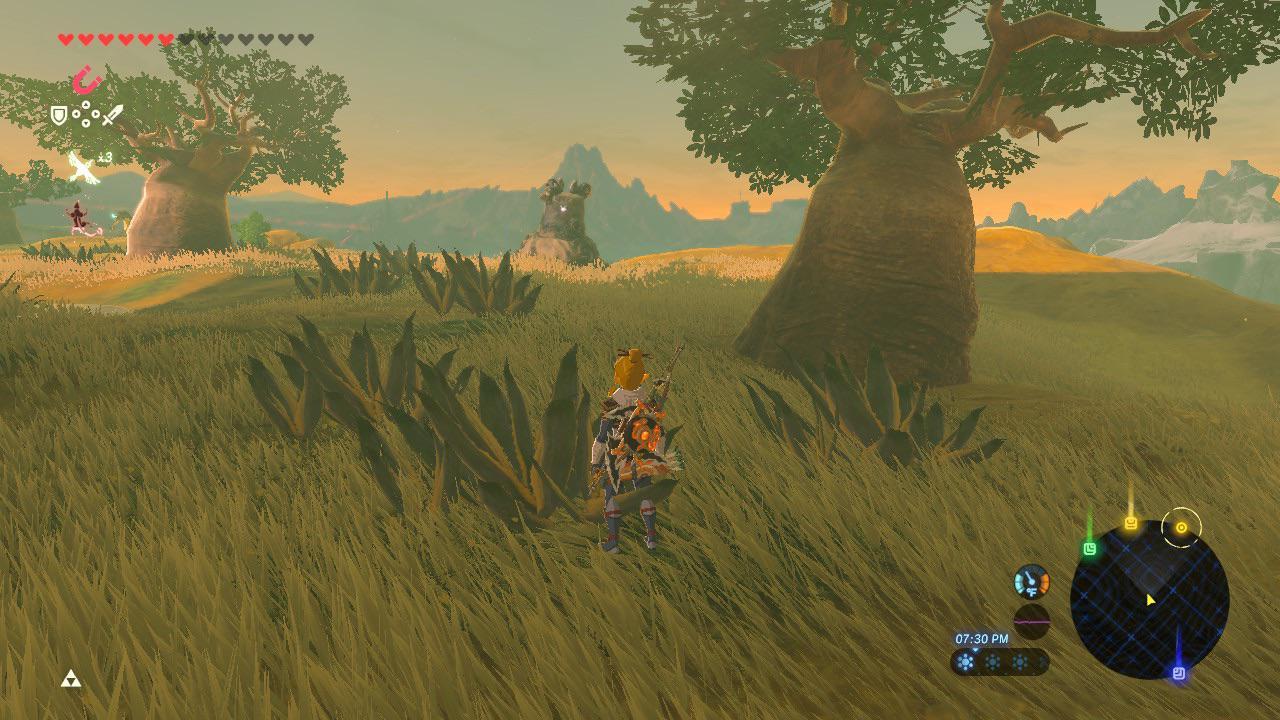 A striking moment I ran across while exploring | Scrolller