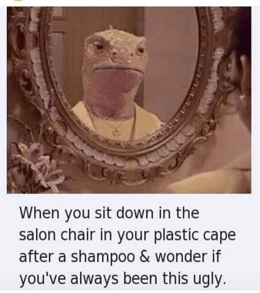 A time for self reflection | Scrolller