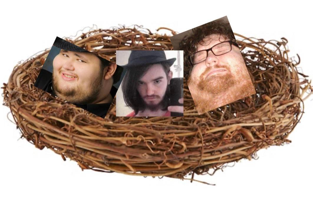 A true neckbeard nest | Scrolller