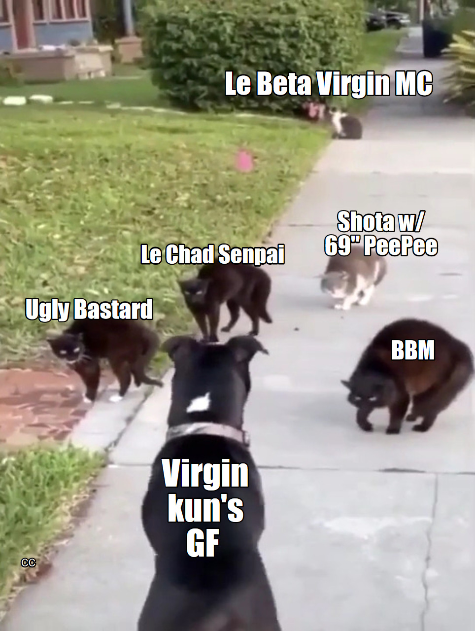 A Typical NTR Life | Scrolller