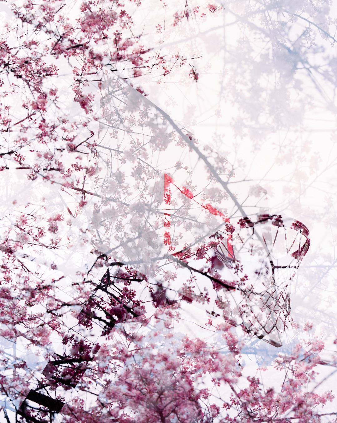 A very cliche first intentional double exposure. mamiya rb67, sekor 90, ektar 100 | Scrolller