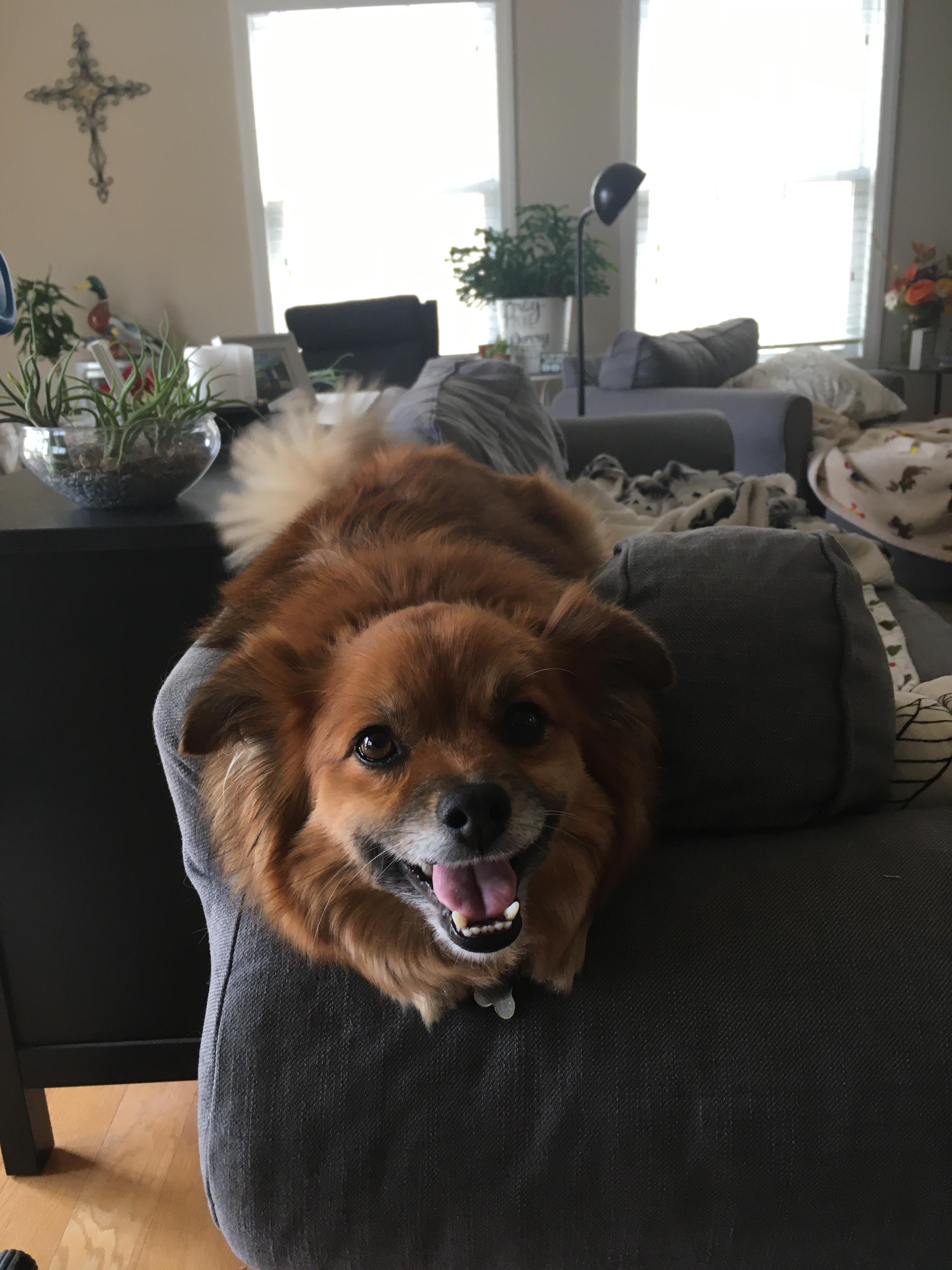 A very happy loaf | Scrolller