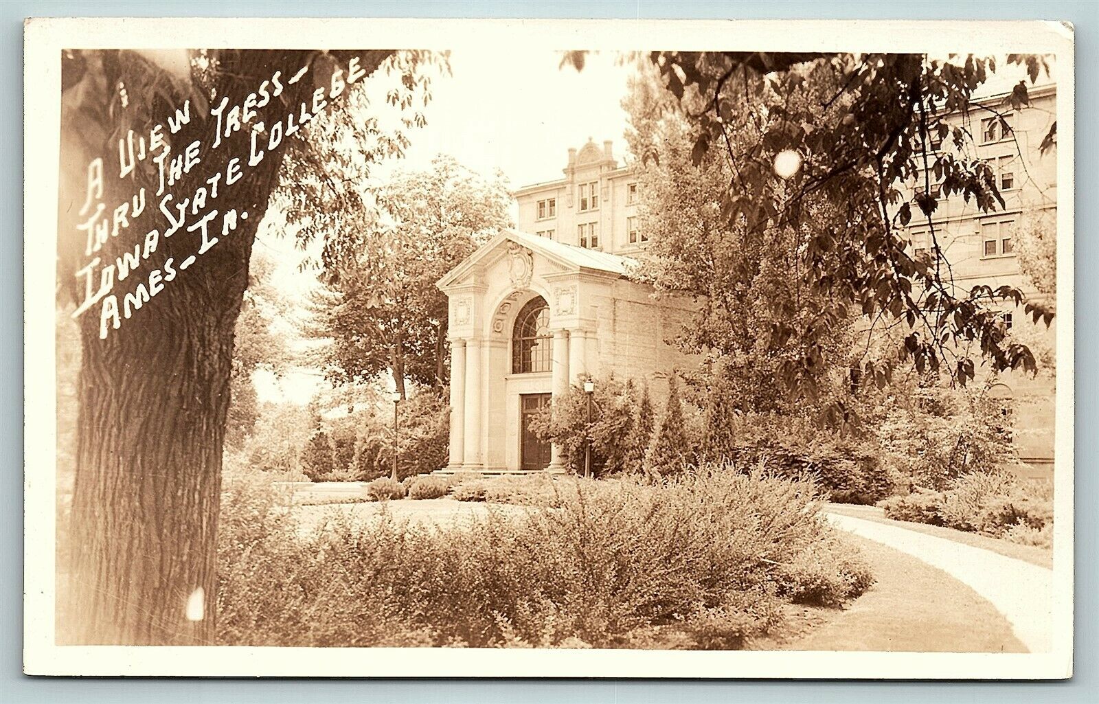 "A View Through the Trees" - 1905 | Scrolller