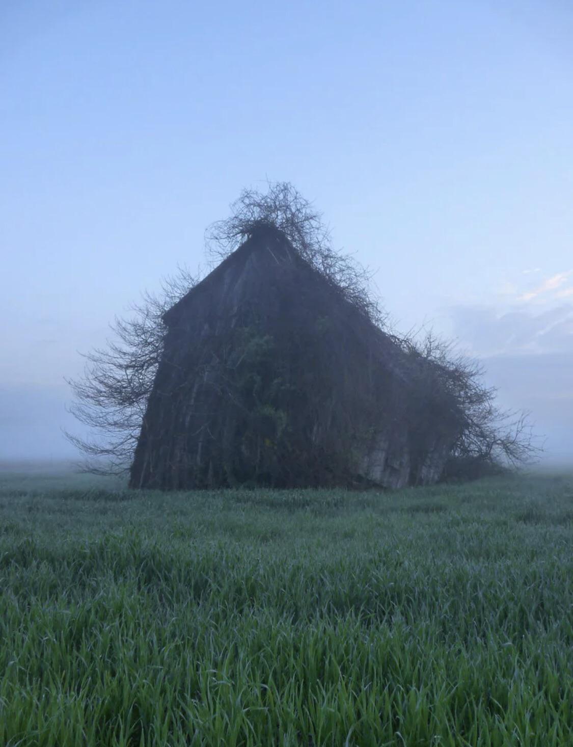 Abandoned barn, location: unknown | Scrolller