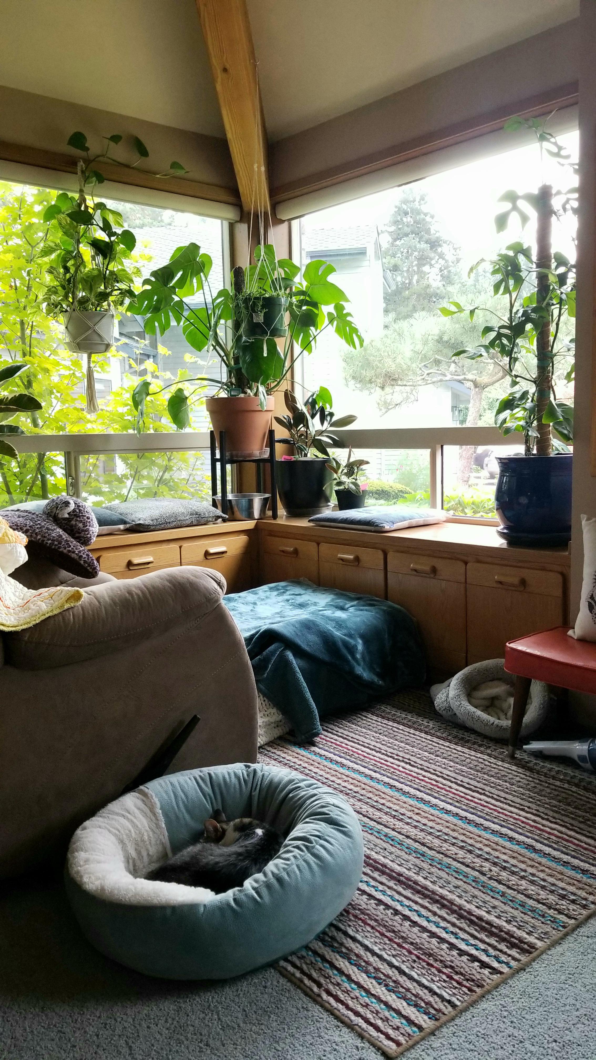 Abed approves of the cozy corner | Scrolller